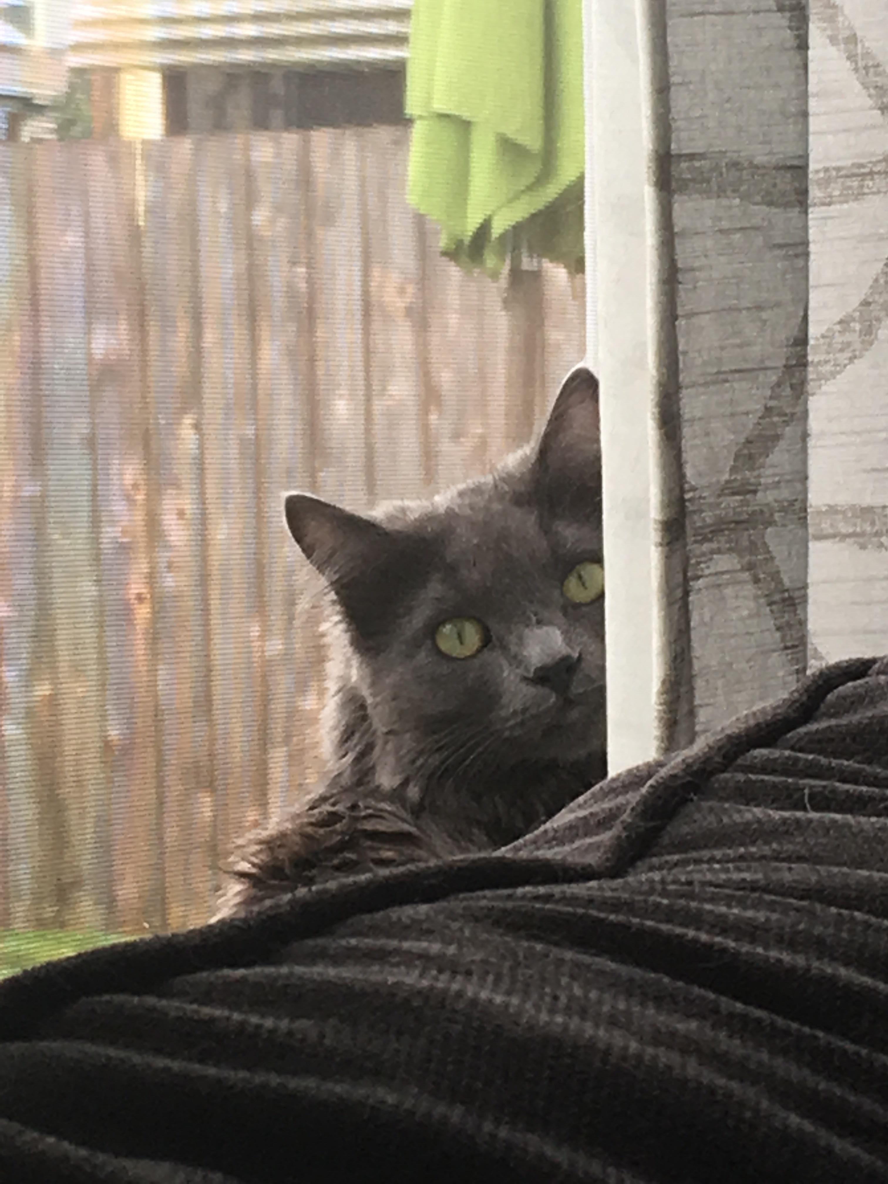 My supermodel Yadira | Scrolller