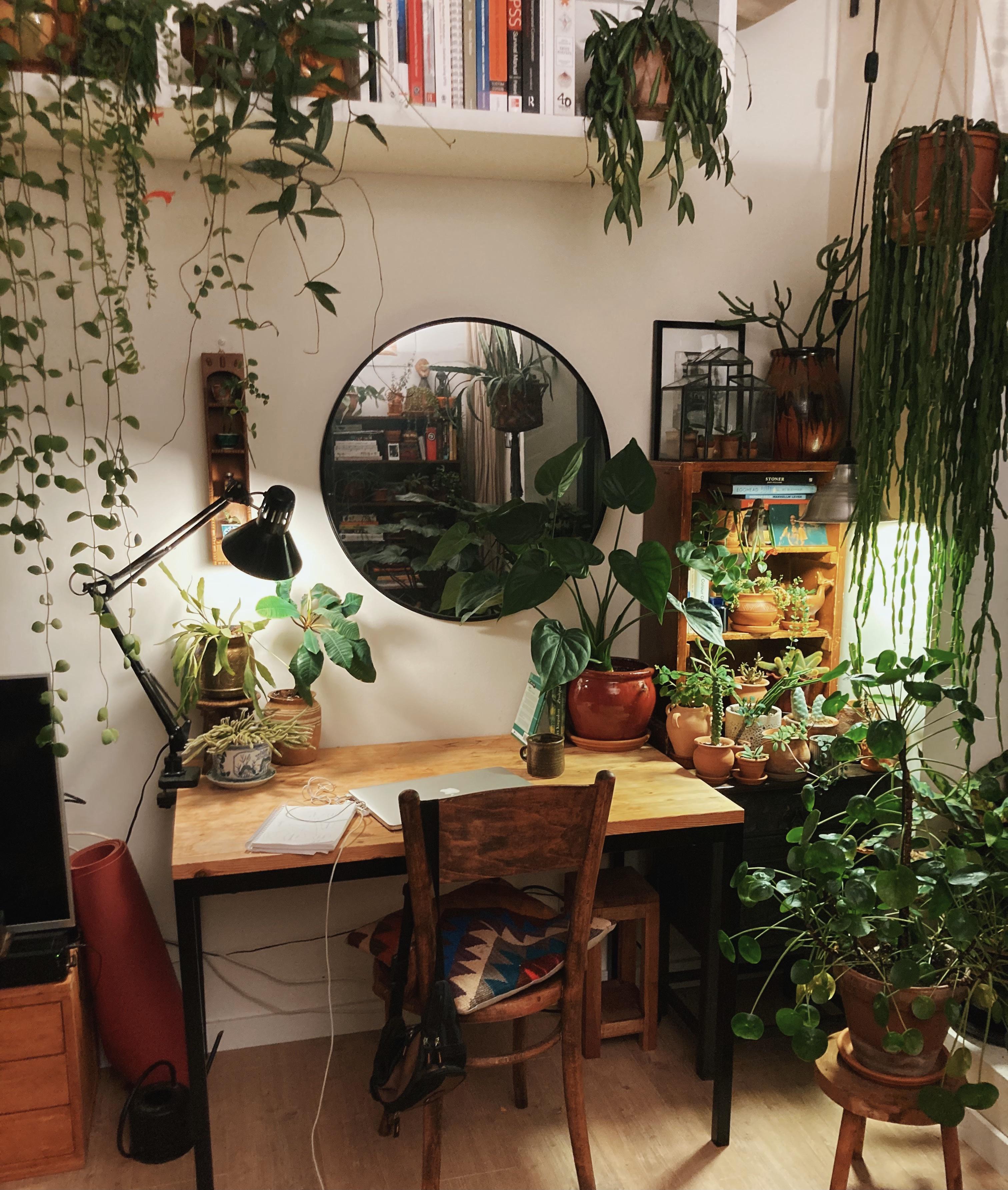 My table became my desk, enter: clutter! | Scrolller