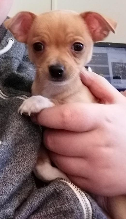 My timmy | Scrolller