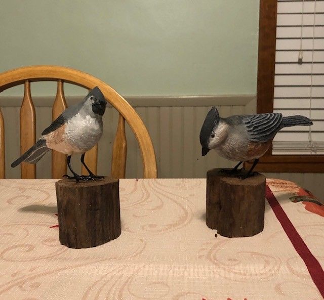 My tufted titmouse(left) vs my dad's (right) | Scrolller