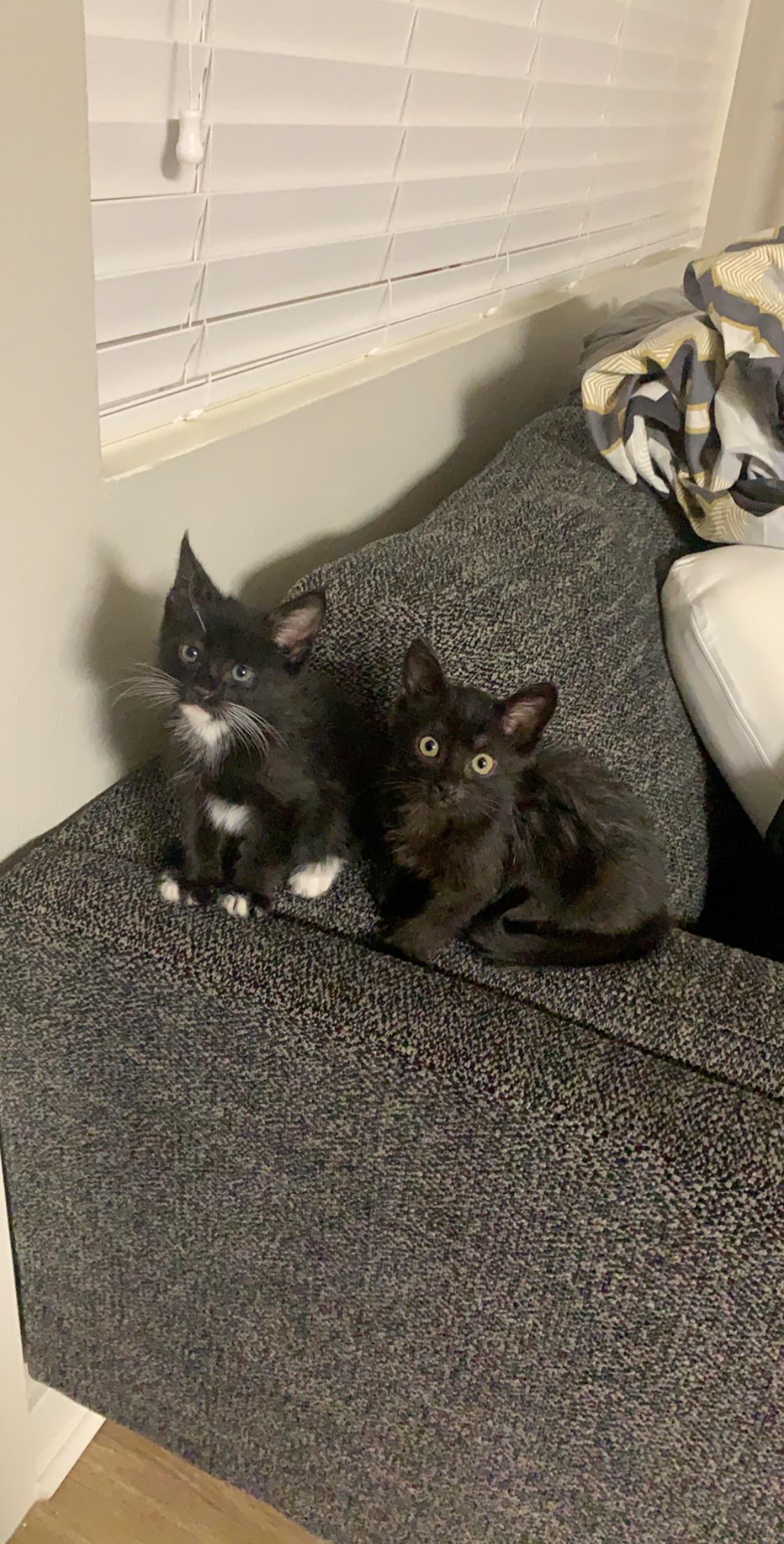 My two favorite trouble makers | Scrolller