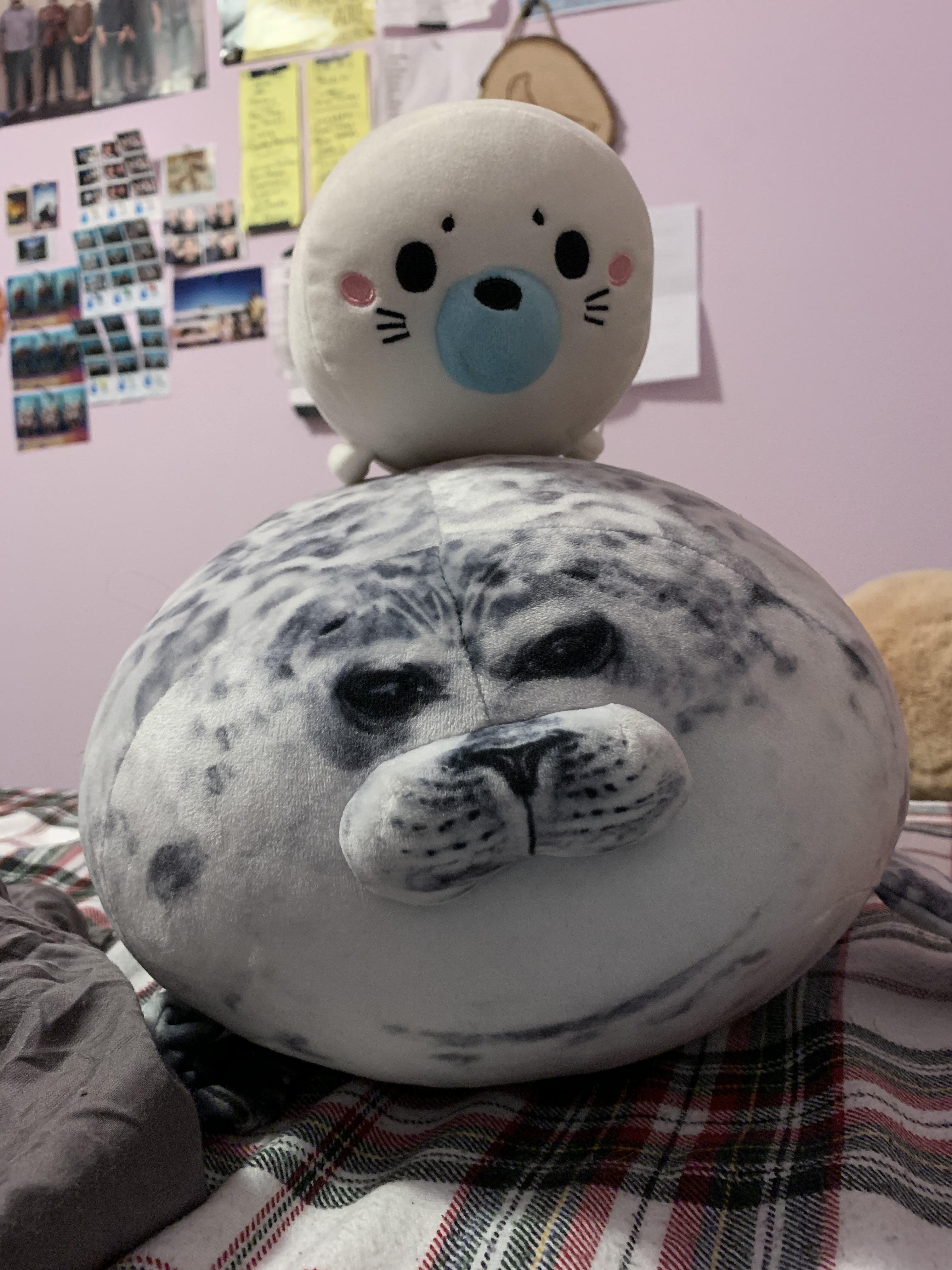 My two squishy seals | Scrolller
