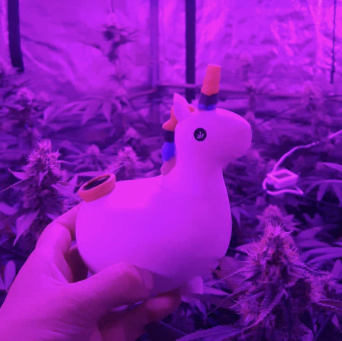 My unicorn in a purple haze | Scrolller