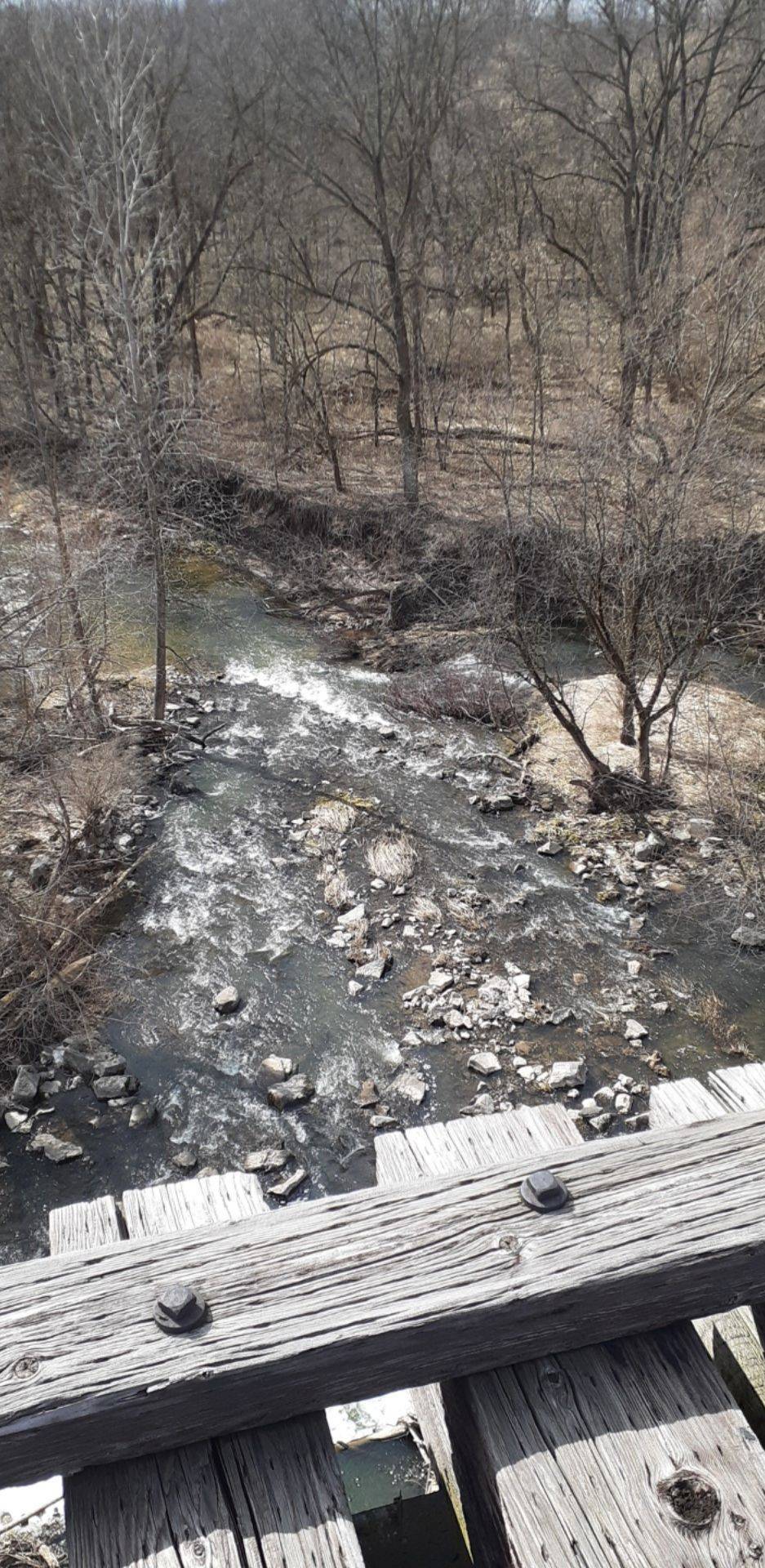 My veiw from "black bridge" | Scrolller