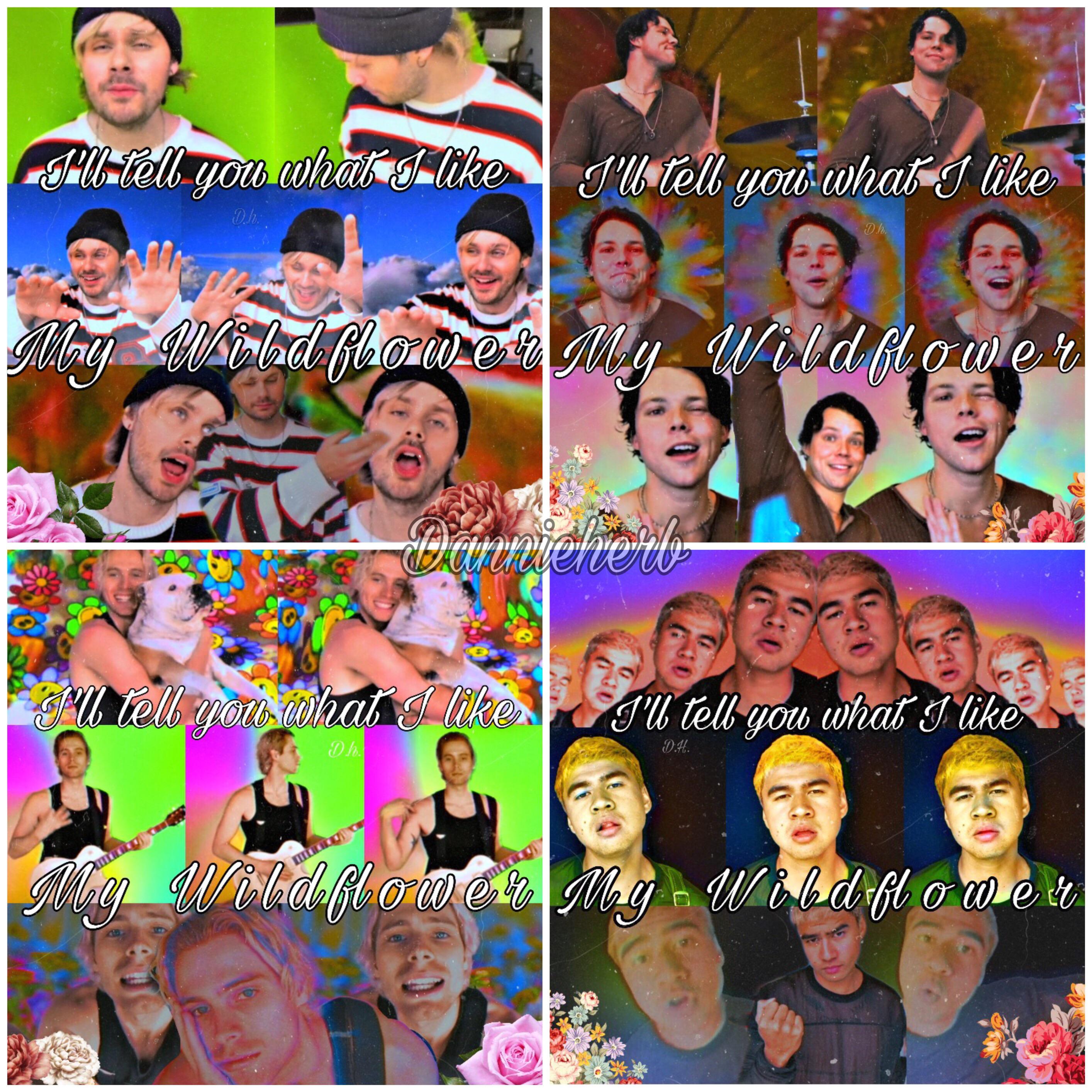 My Wildflower edits! | Scrolller