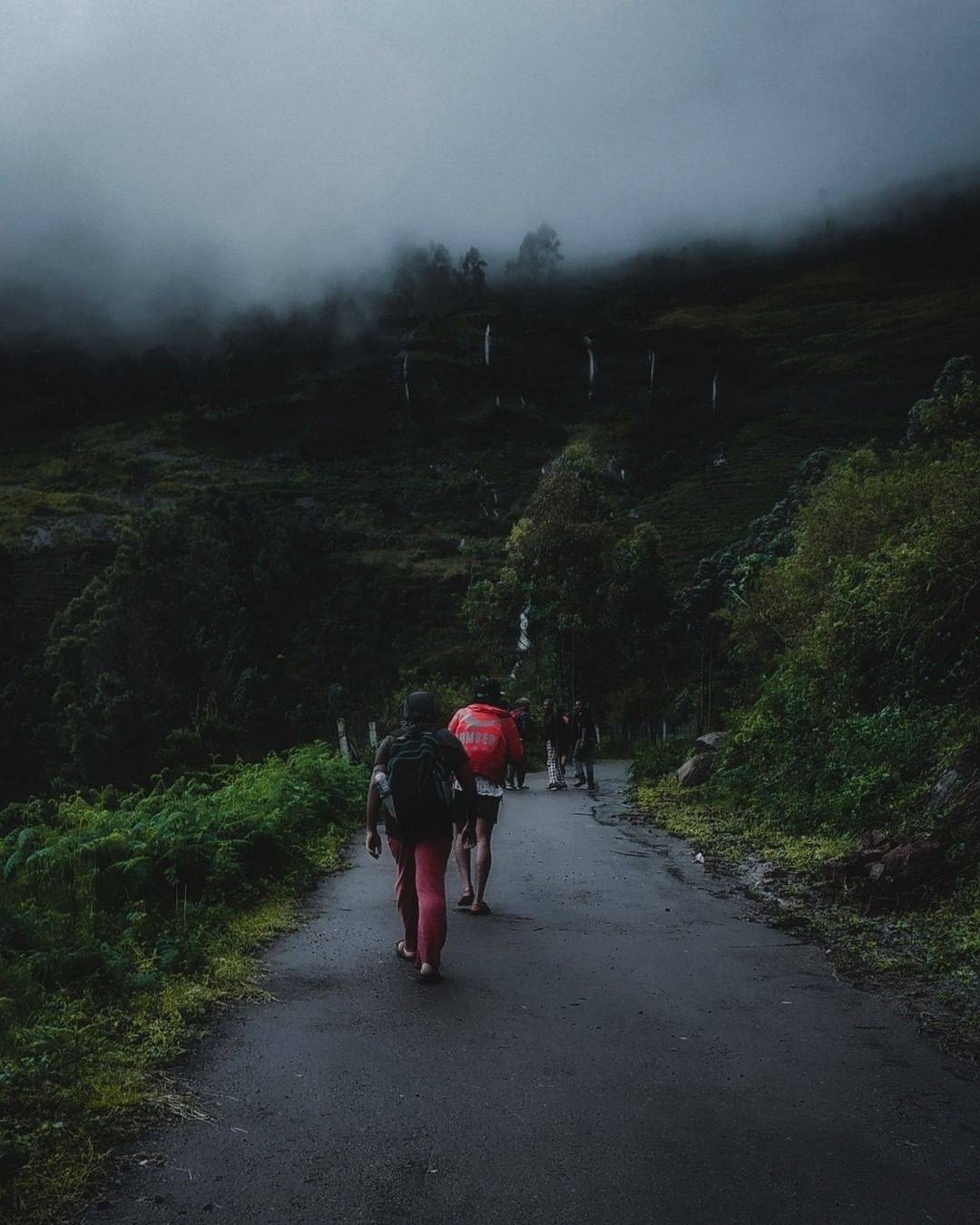 Mysterious Foggy Path in India | Scrolller