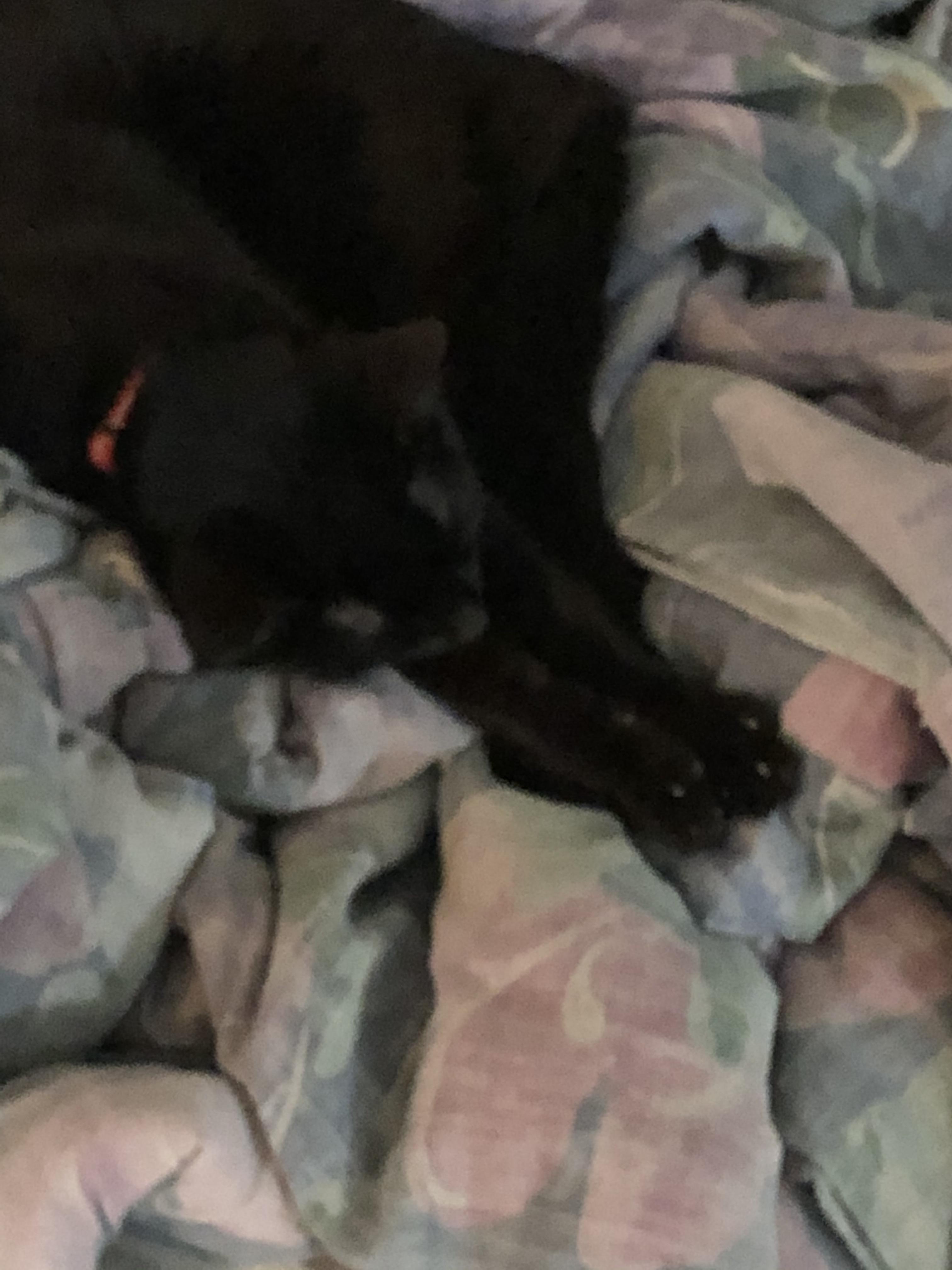 Nap time is the best time 👍🏻 | Scrolller