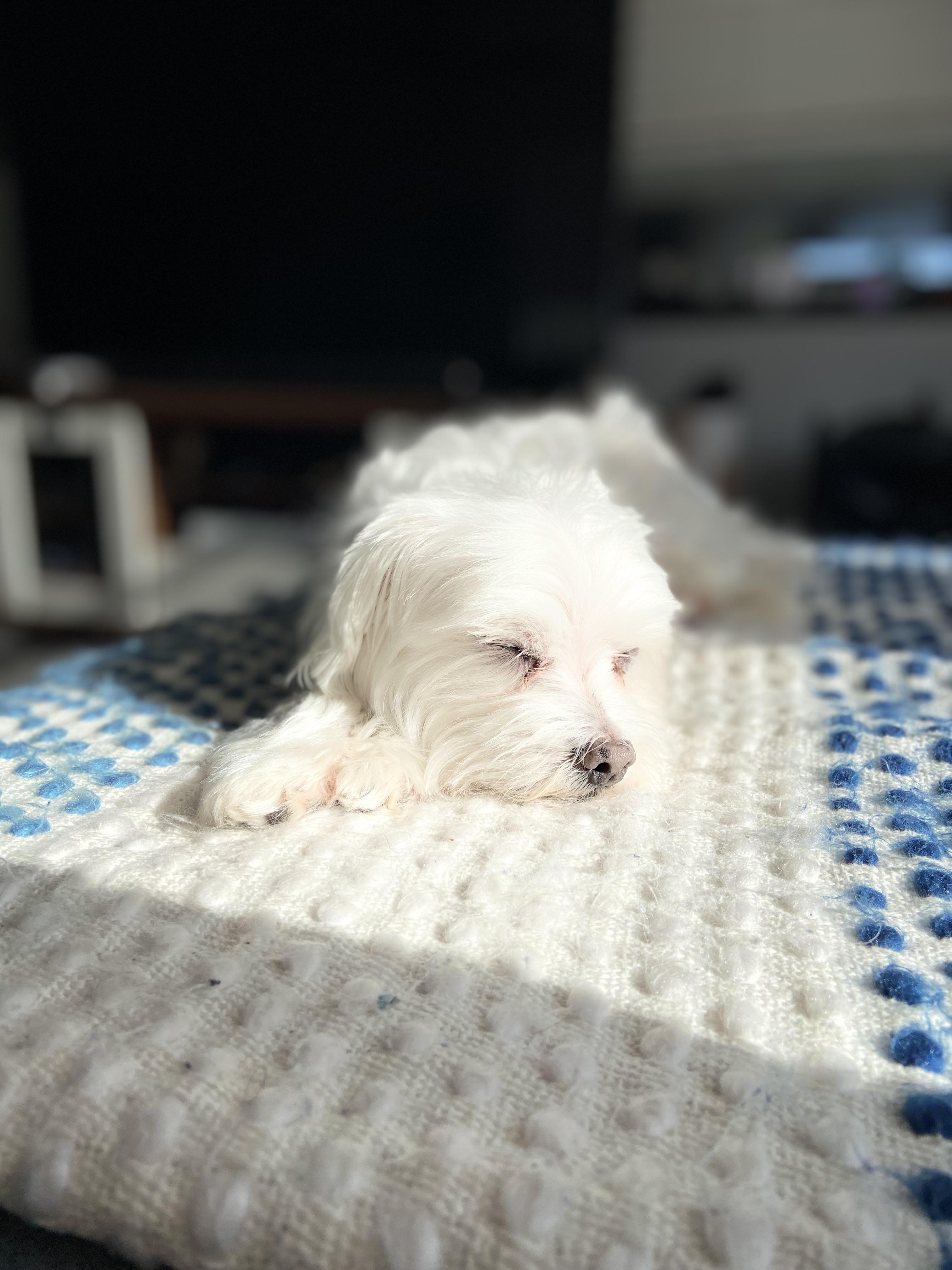 Nap time | Scrolller