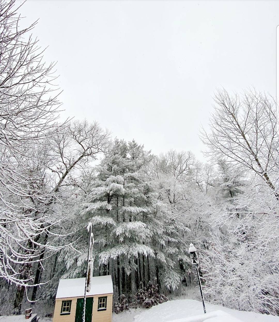 Narnia in my backyard... | Scrolller