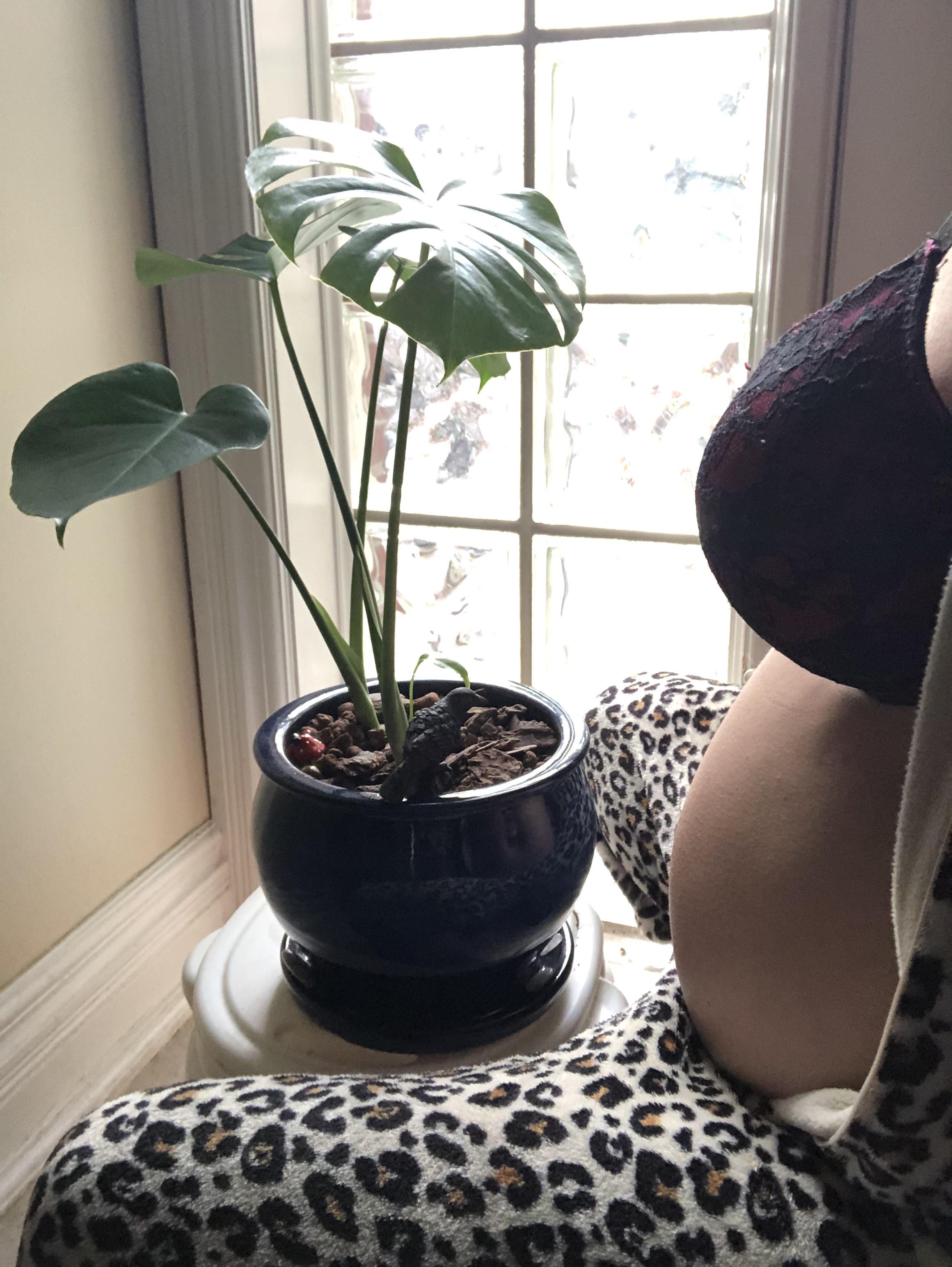 Natural 36 DDS with this pregnancy ;) | Scrolller