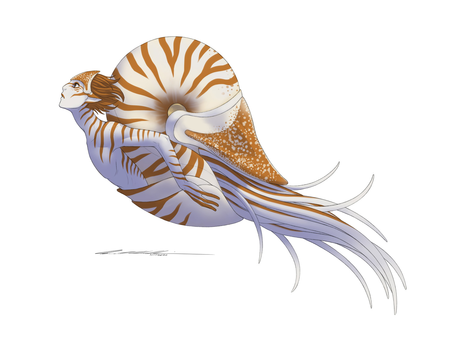 Nautilus by Enothar | Scrolller