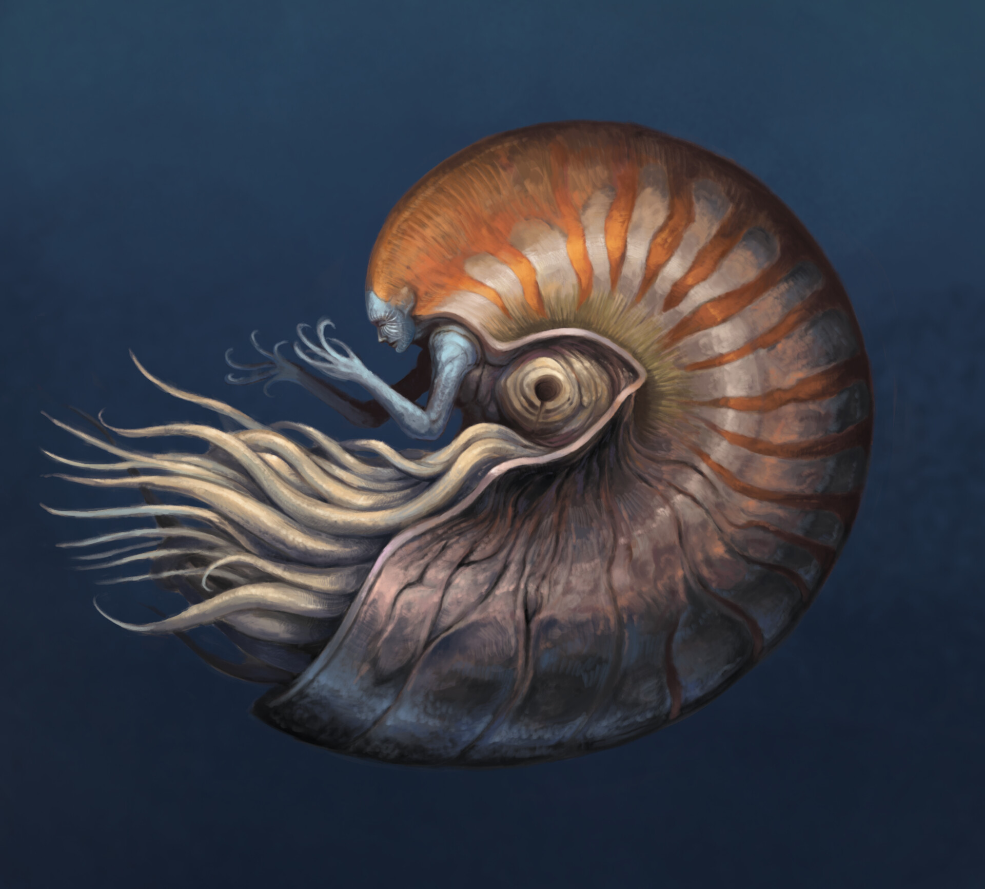 Nautilus Mermaid by Marcel Budde | Scrolller