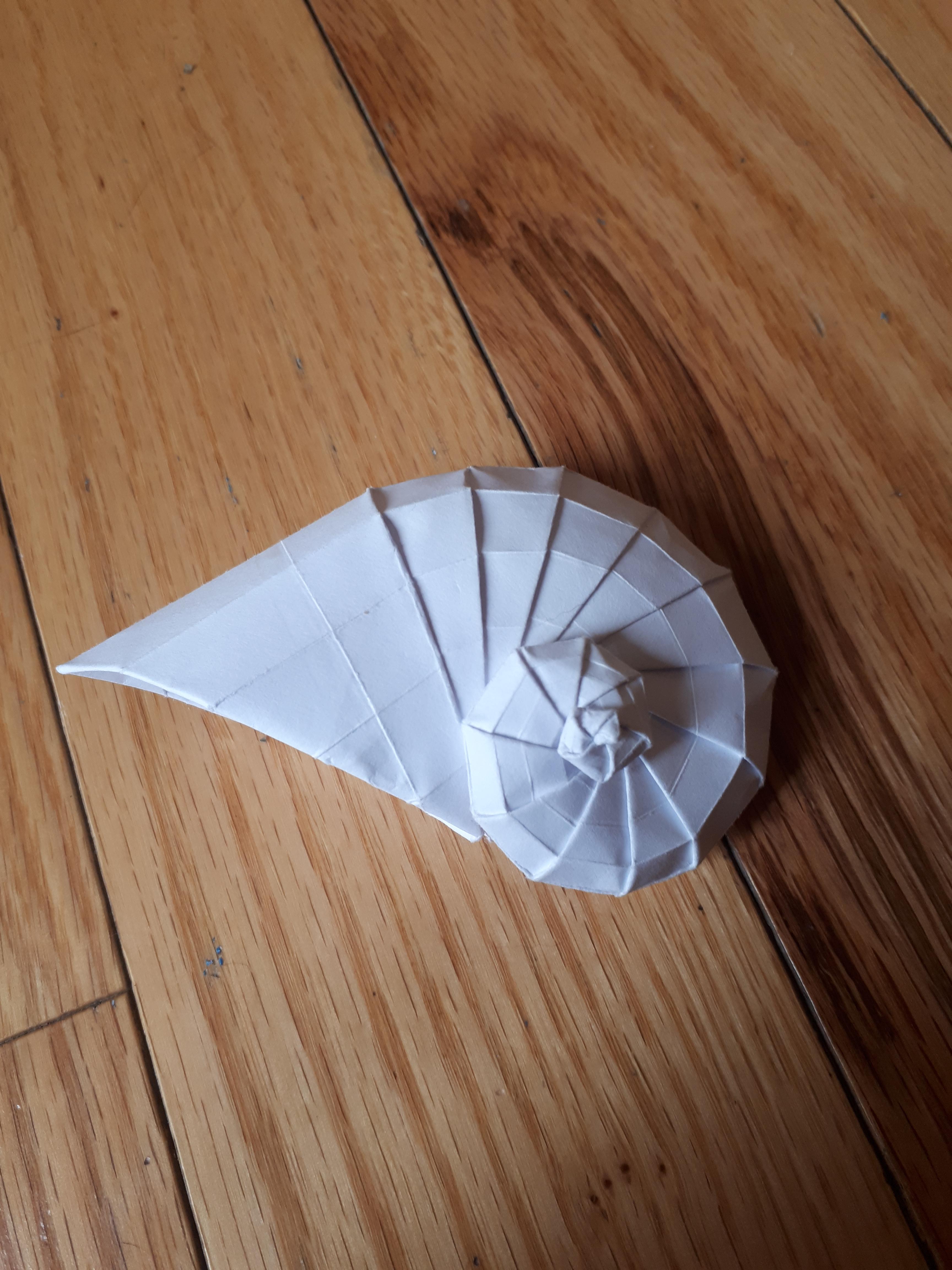 Navel shell, designed by Tomoko Fuse, folded by me | Scrolller