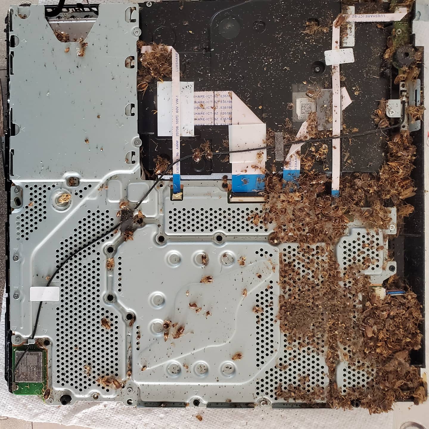 Neckbeard nest roach haven | Scrolller