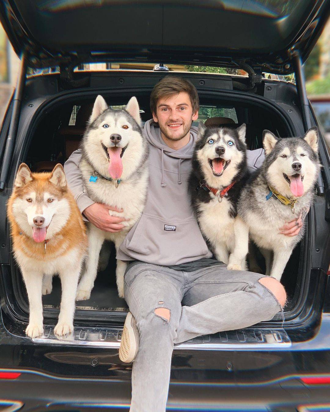 Need more husky | Scrolller