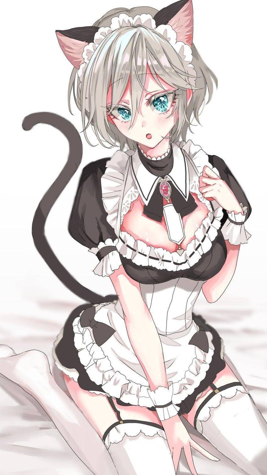 Neko maid | Scrolller