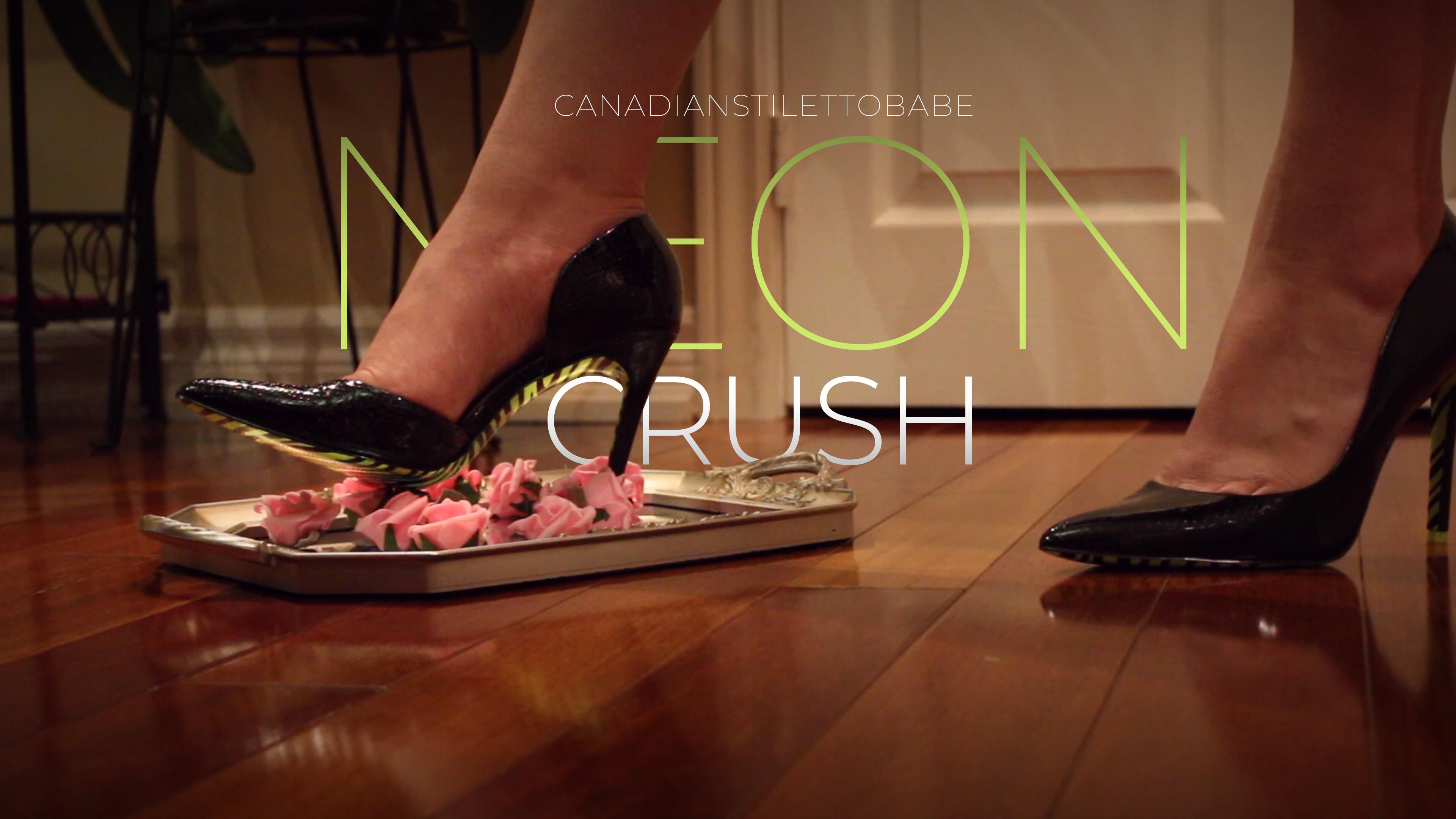 Neon crush- on Patreon | Scrolller