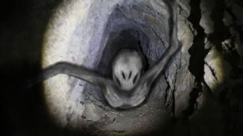 never gonna cave exploring ever again | Scrolller