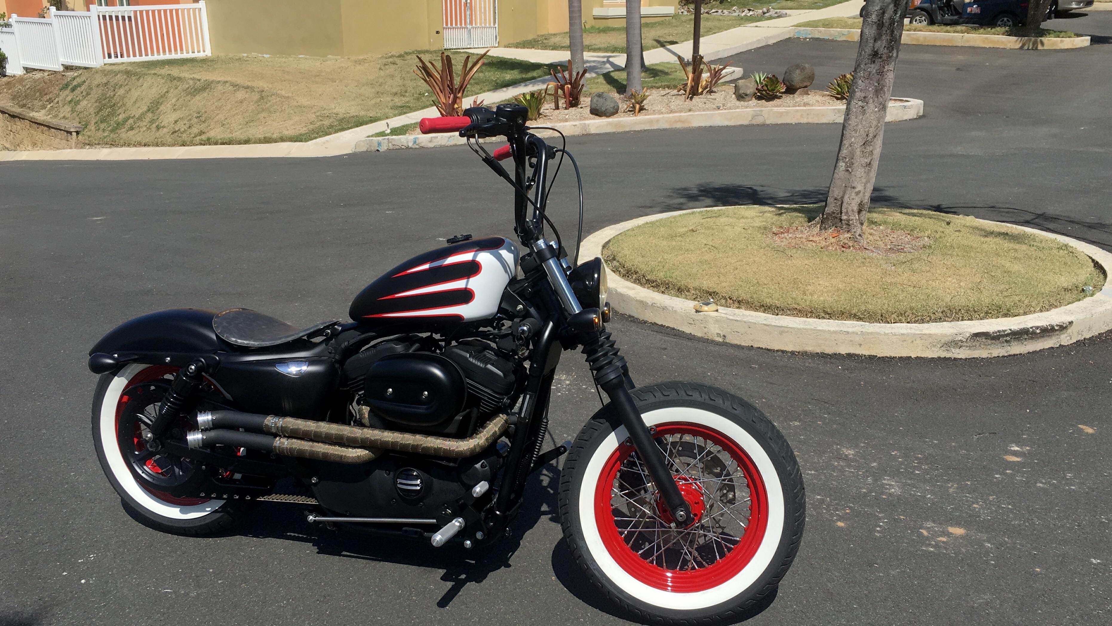 New arrival! | Scrolller