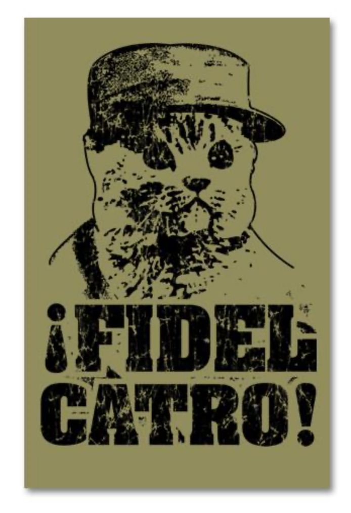 New Bald and Bankrupt/Alina Merch Tees | Scrolller