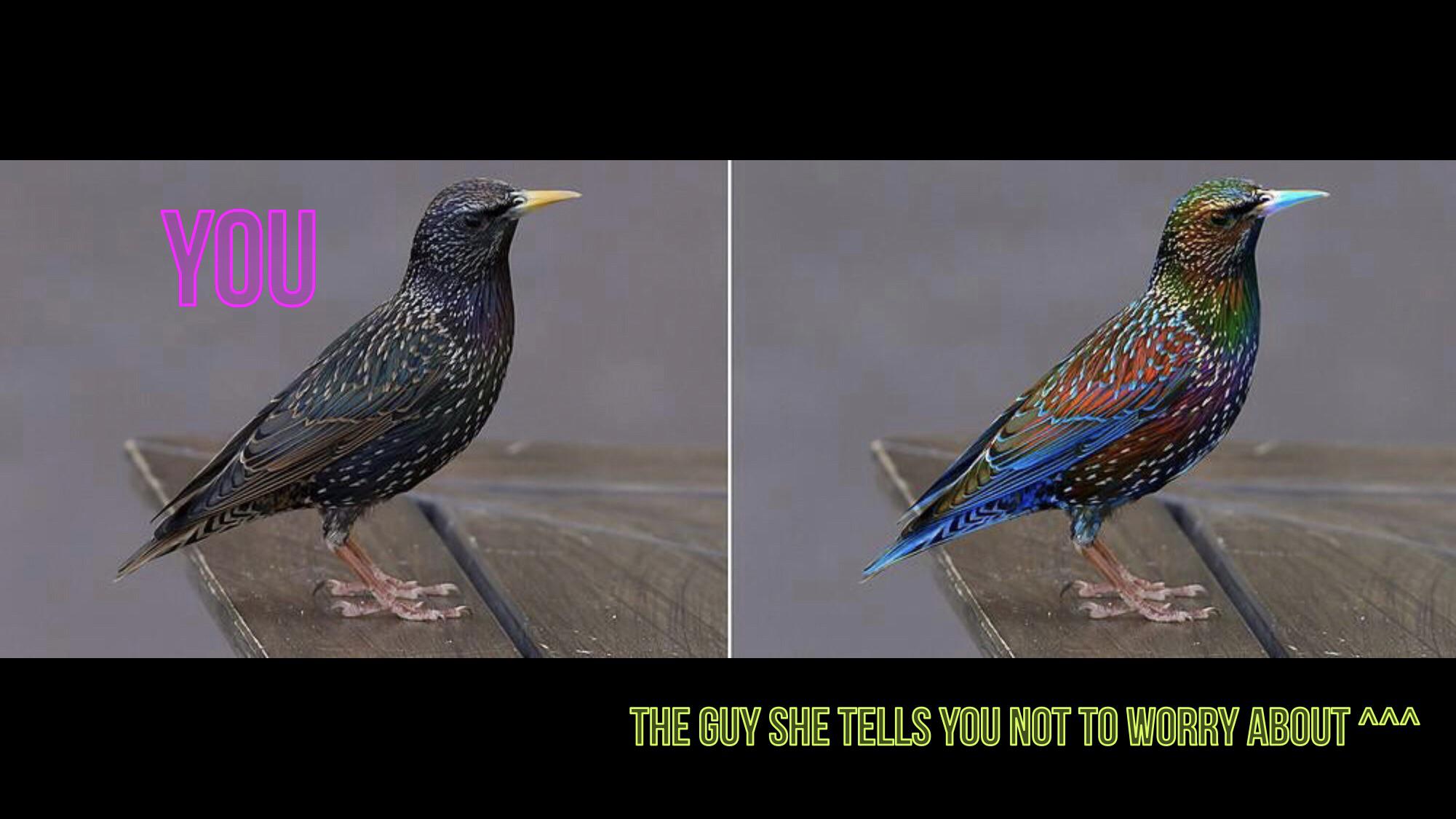 New but old terrible format | Scrolller