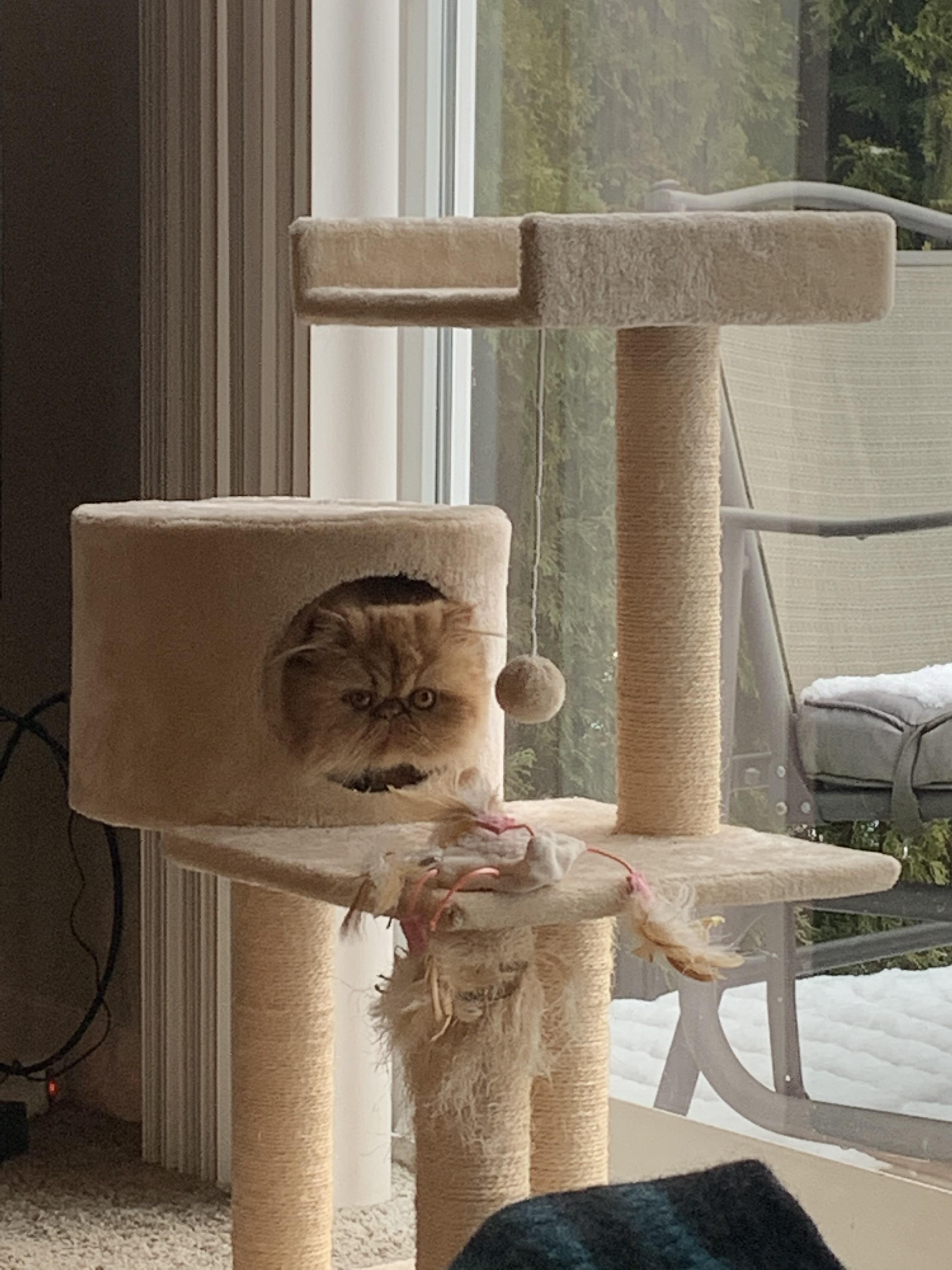 new family member! | Scrolller