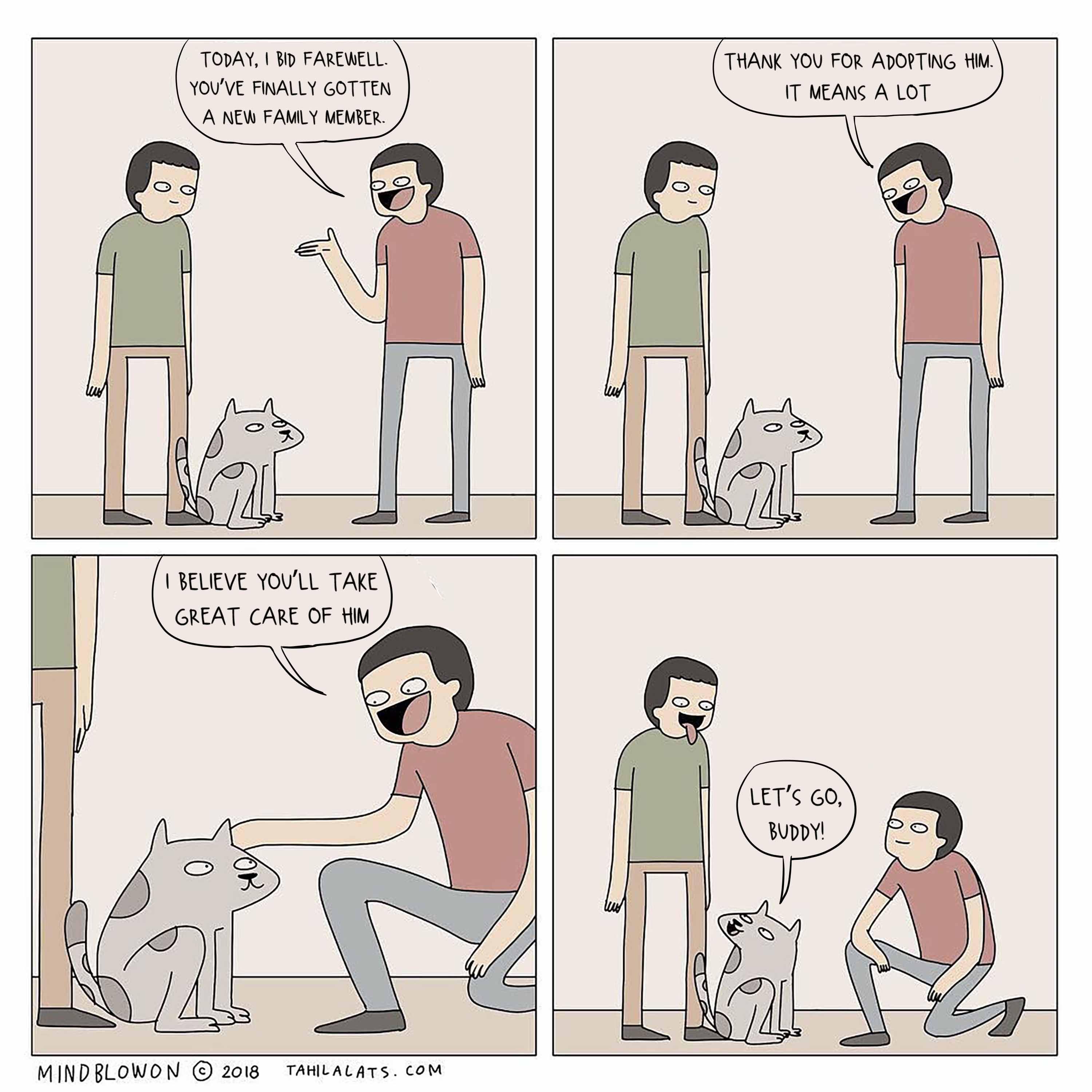 New family member [OC] | Scrolller