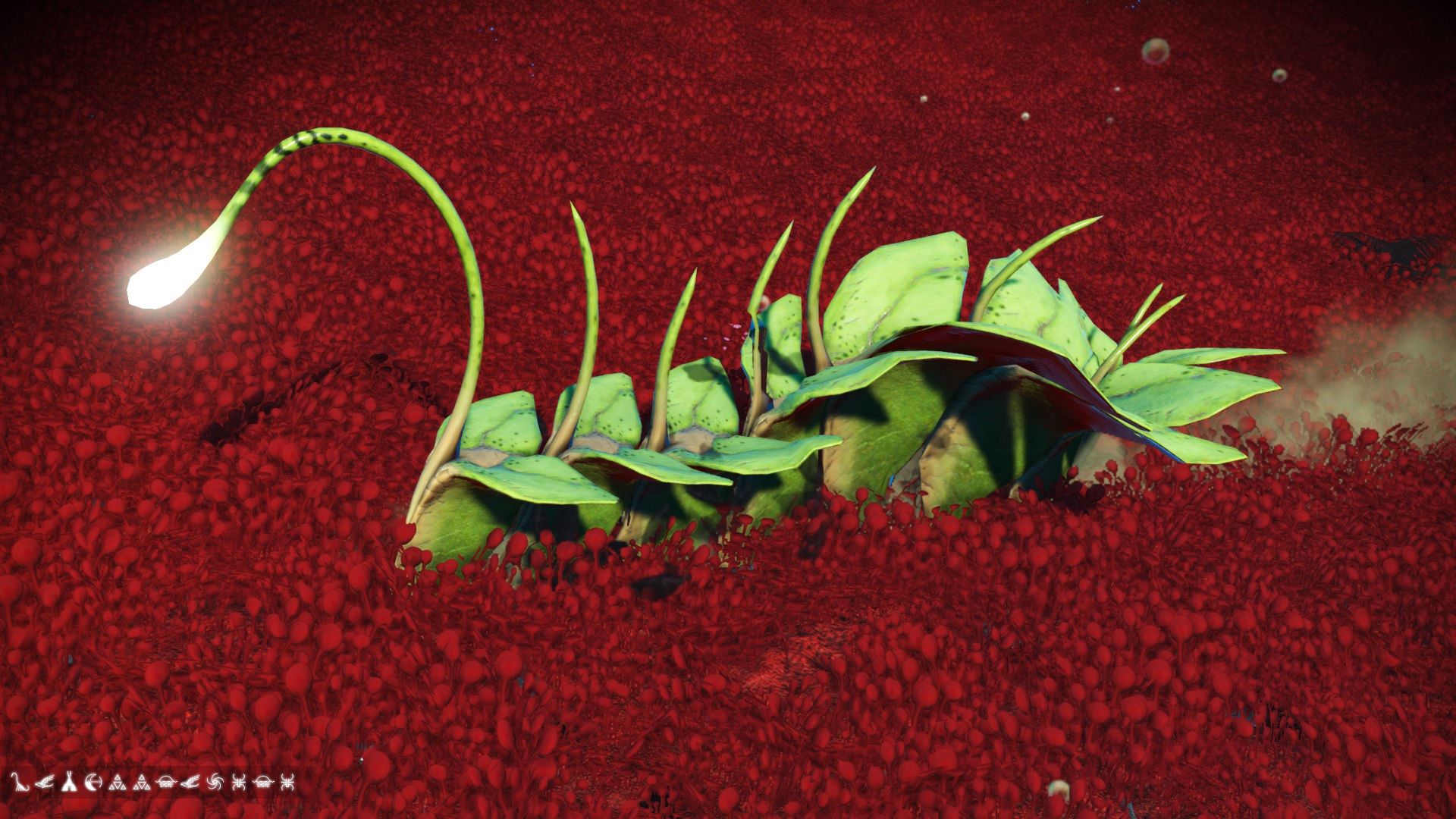 New Fauna | Scrolller