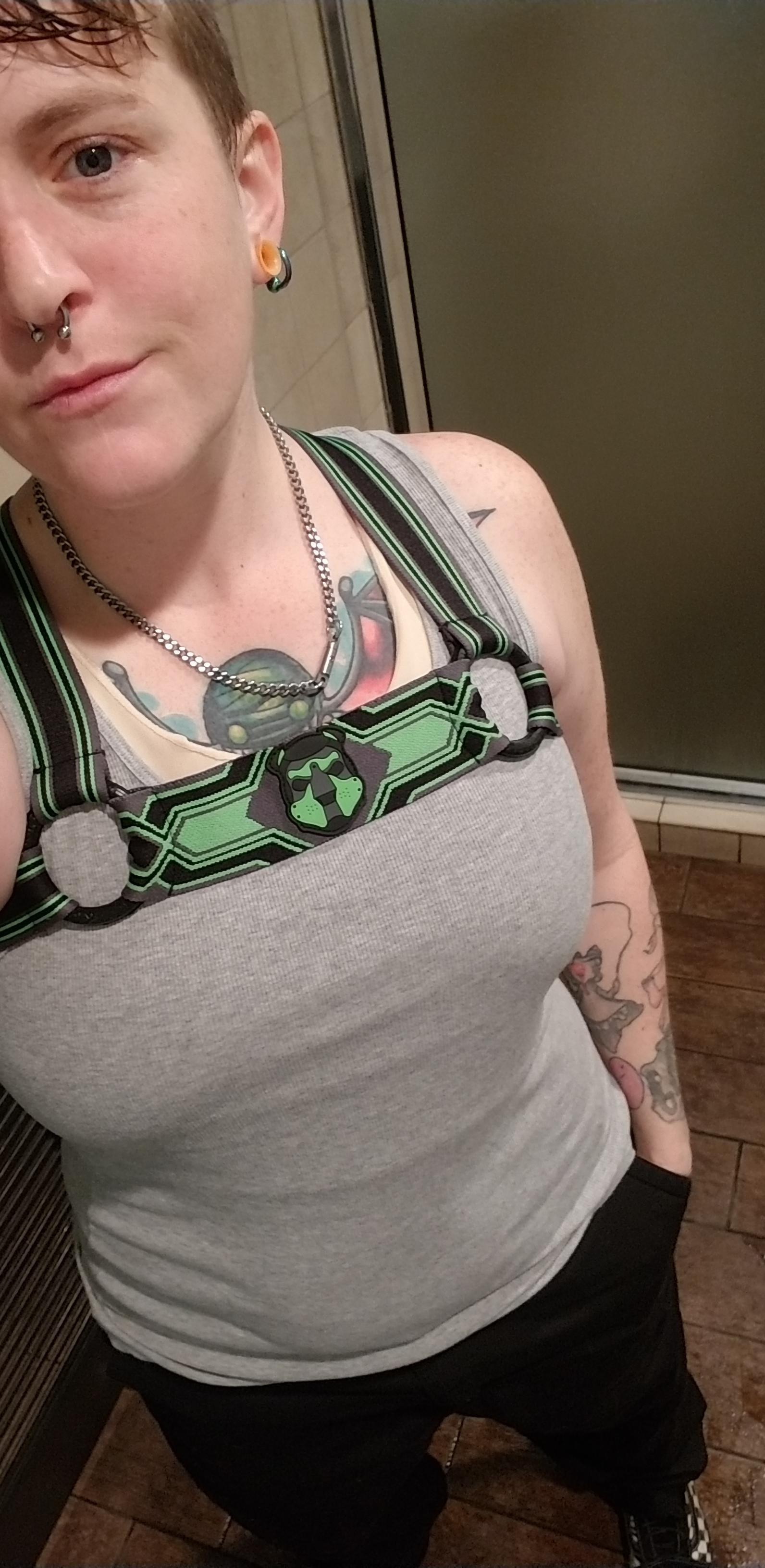 New harness 🖤🐶 | Scrolller