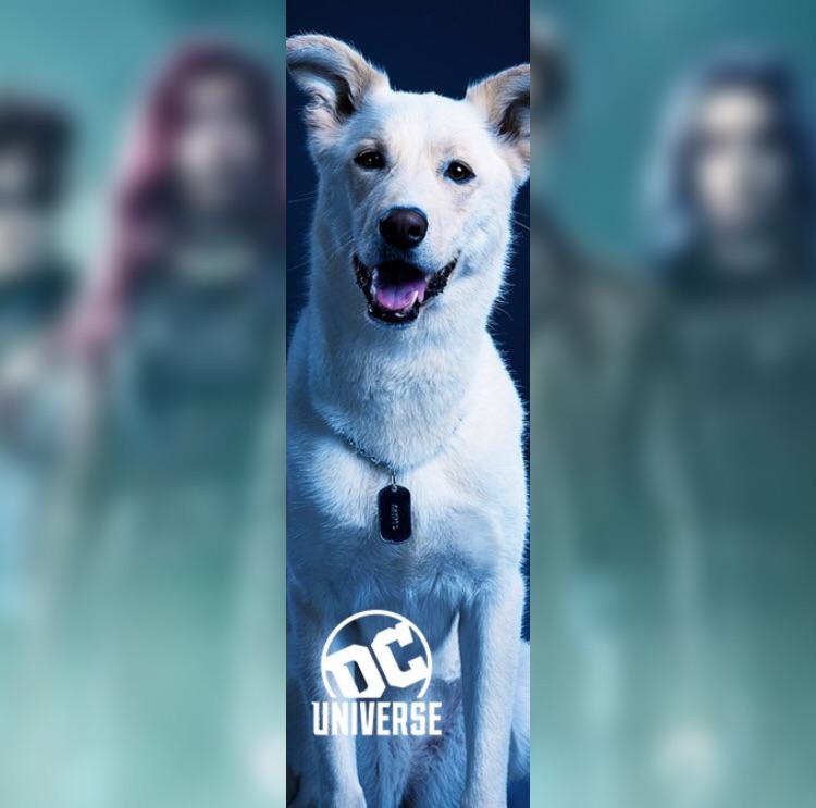 New look at the goodest boy! | Scrolller