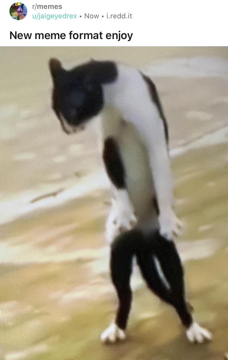 New meme format just remember me | Scrolller