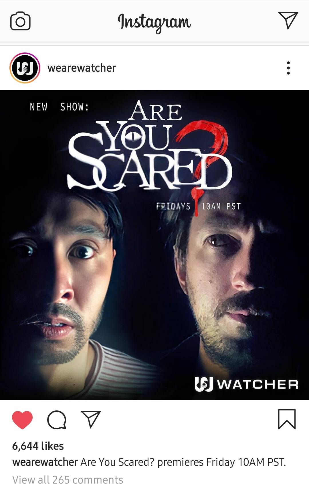 New show from Watcher called "Are You Scared?" starting on Friday! | Scrolller