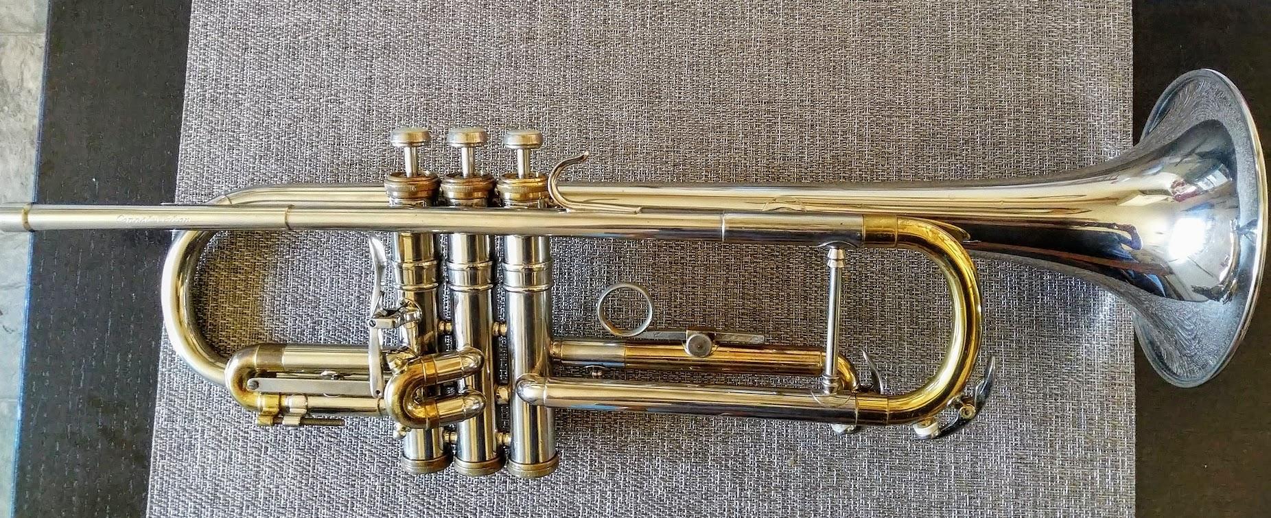 New (to me) Horn Day! | Scrolller
