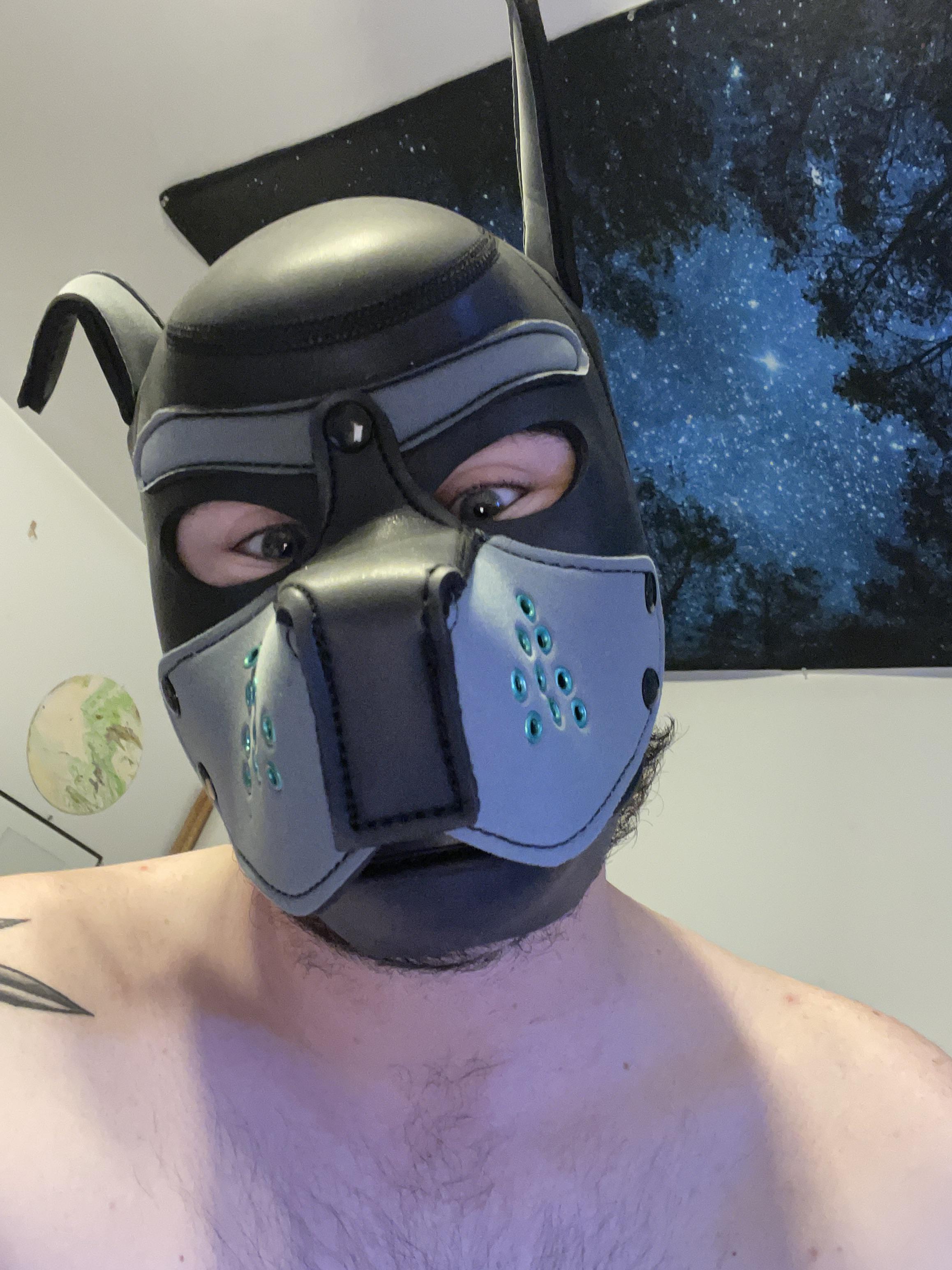 New to pup, looking for friends! 26 | Scrolller