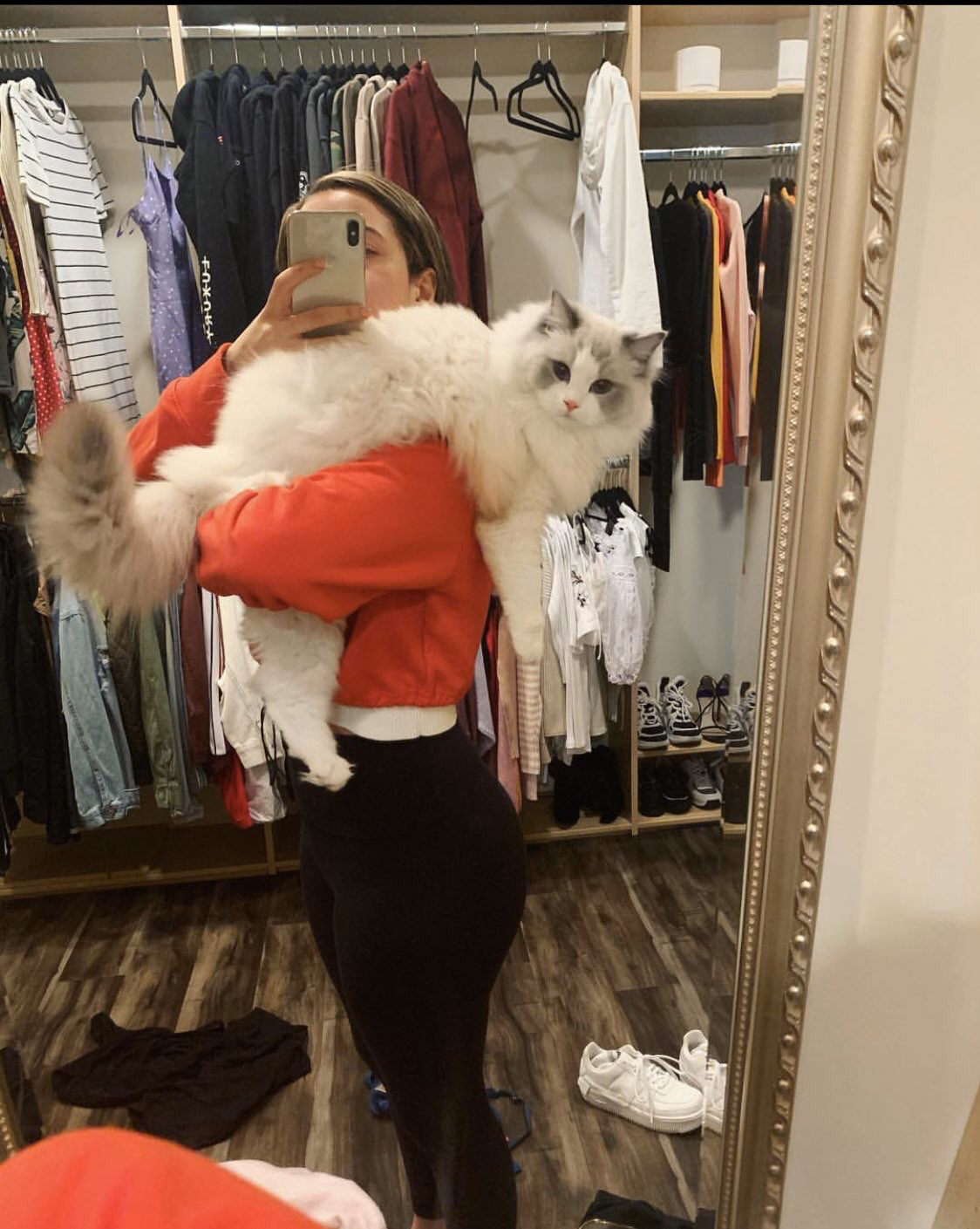 New Twitter post | Scrolller