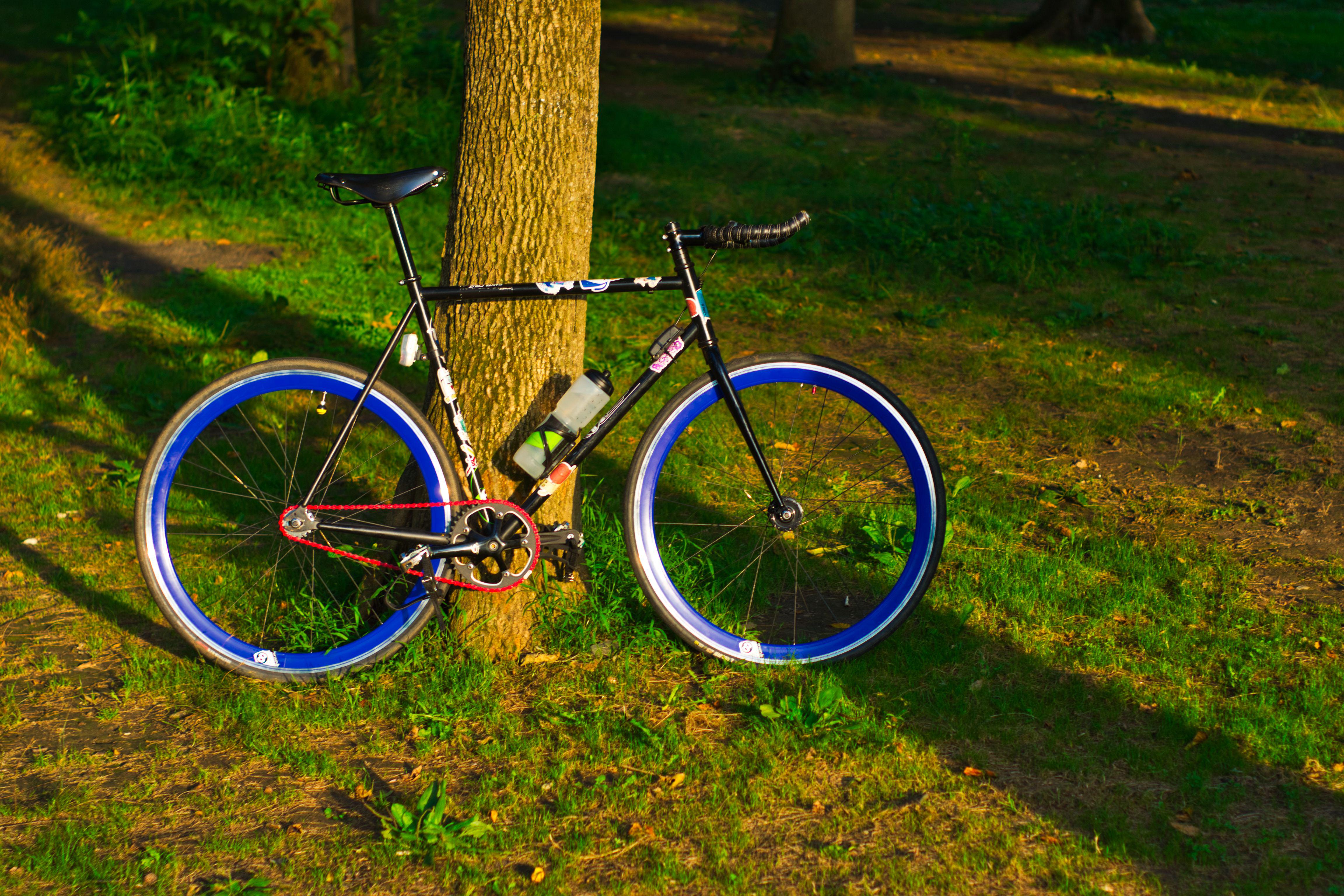 new wheels | Scrolller