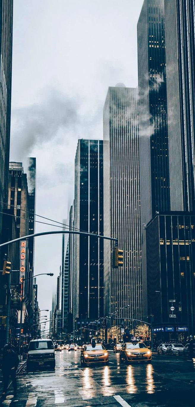 New York | Scrolller