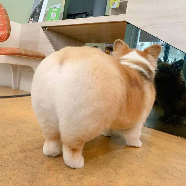 Nice butt buddy! | Scrolller