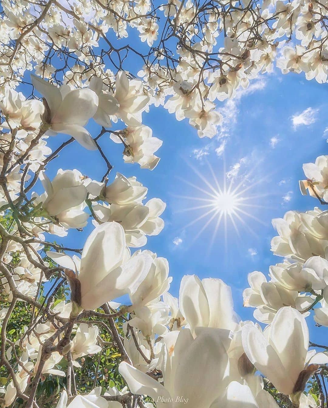 Nice click | Scrolller