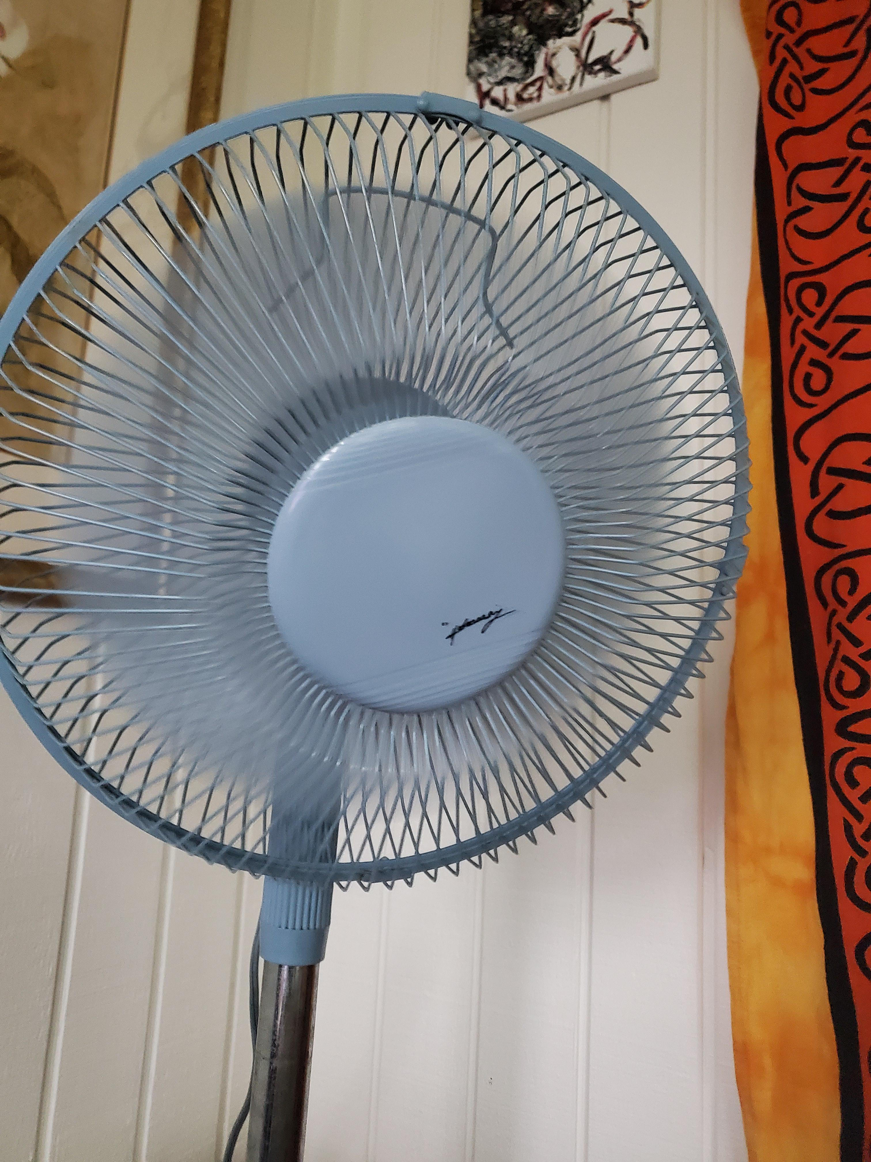 Nice fan that keeps me cool | Scrolller