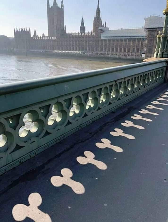 Nice shadow!! | Scrolller