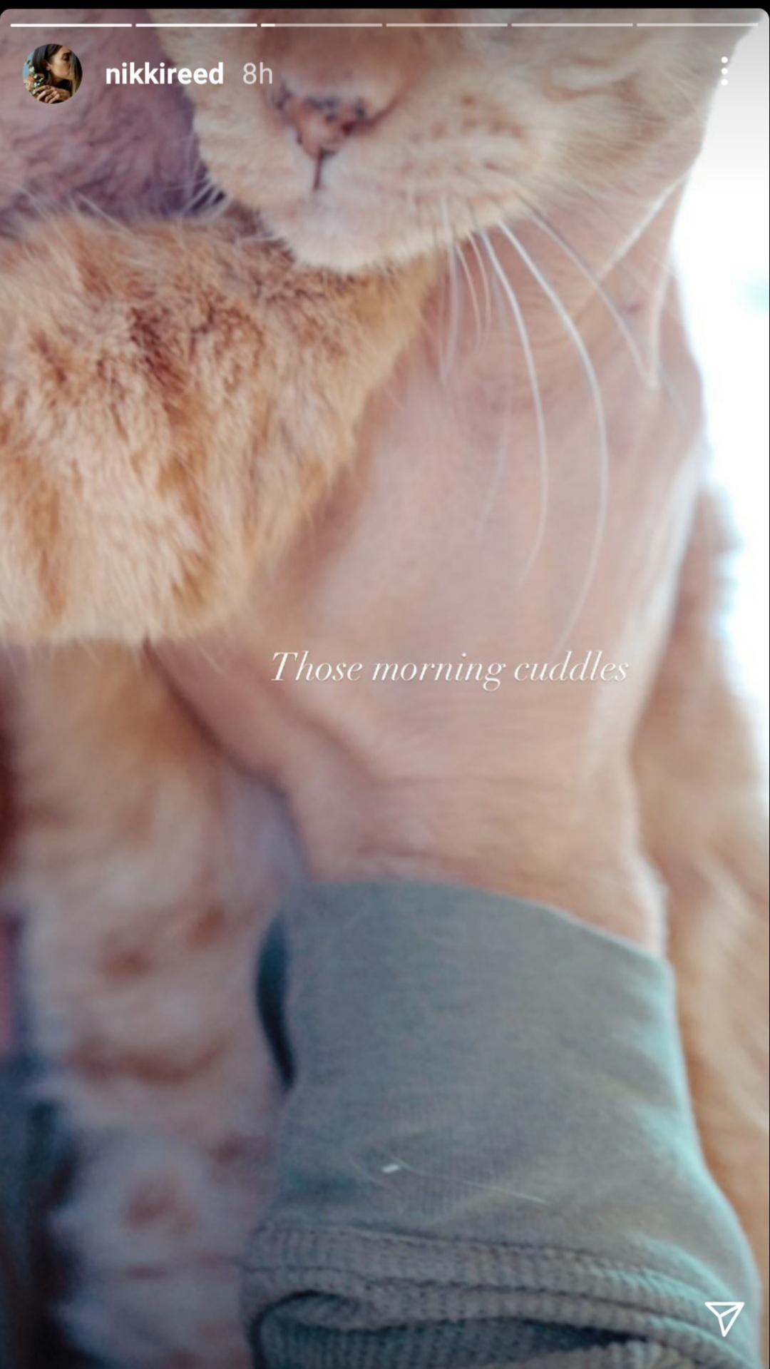 Nikki posted this sweet pic of her husband and their kitty! | Scrolller