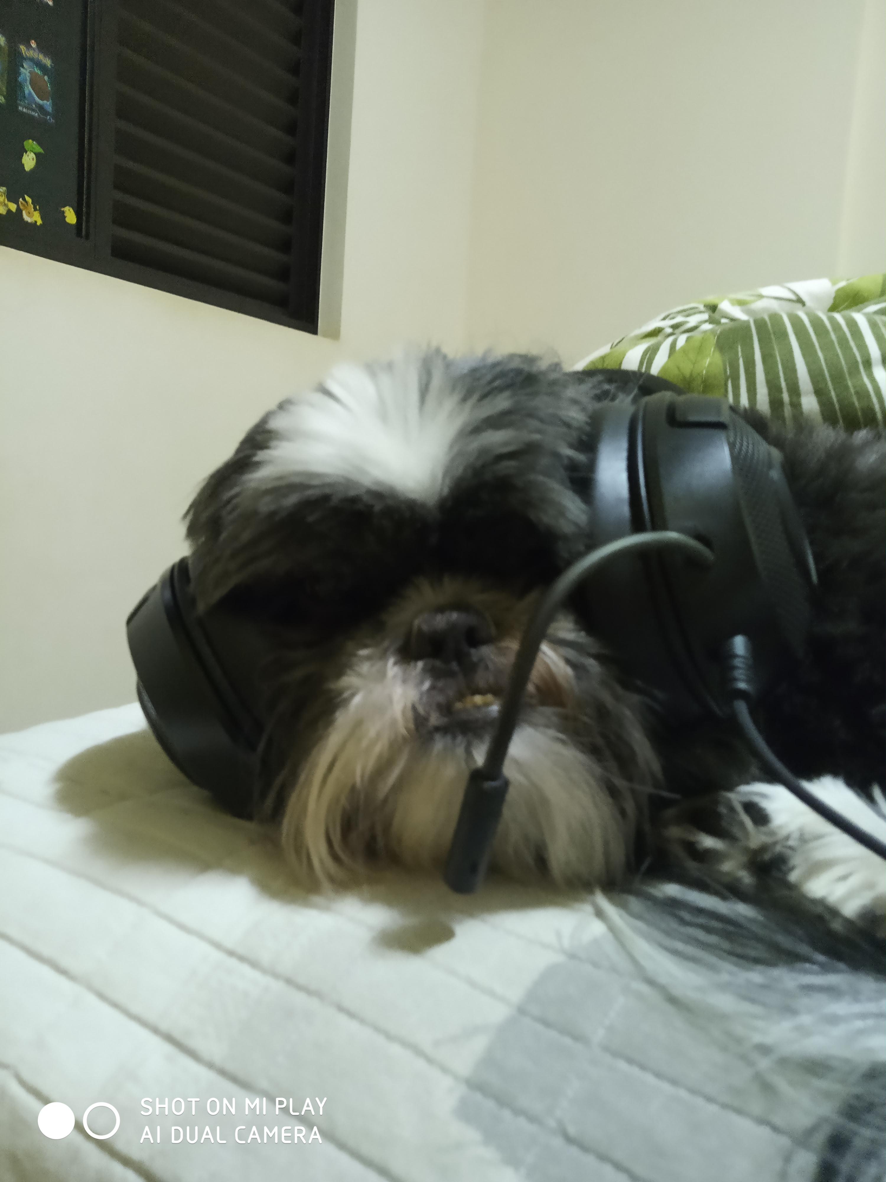 Nina Gamer Scrolller