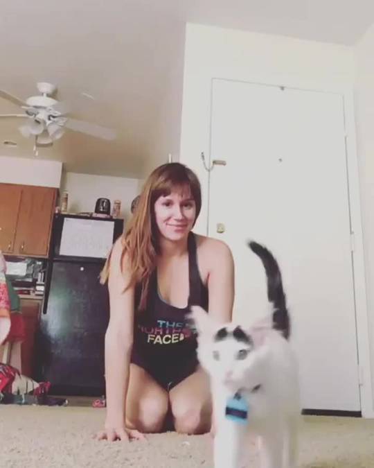 Ninja kitty | Scrolller