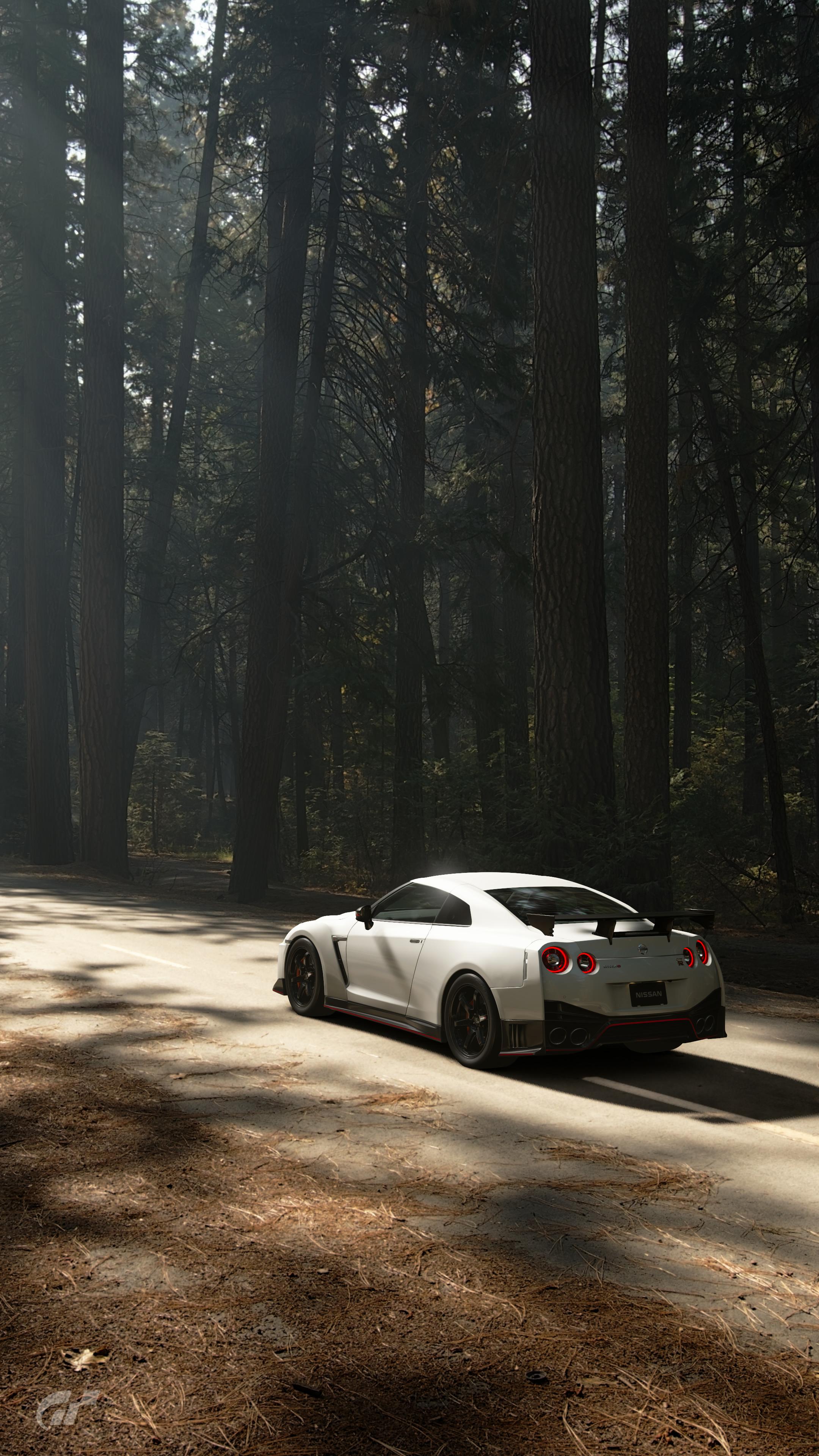 Nissan GTR NISMO - Gran Turismo Sport 16:9 | Scrolller