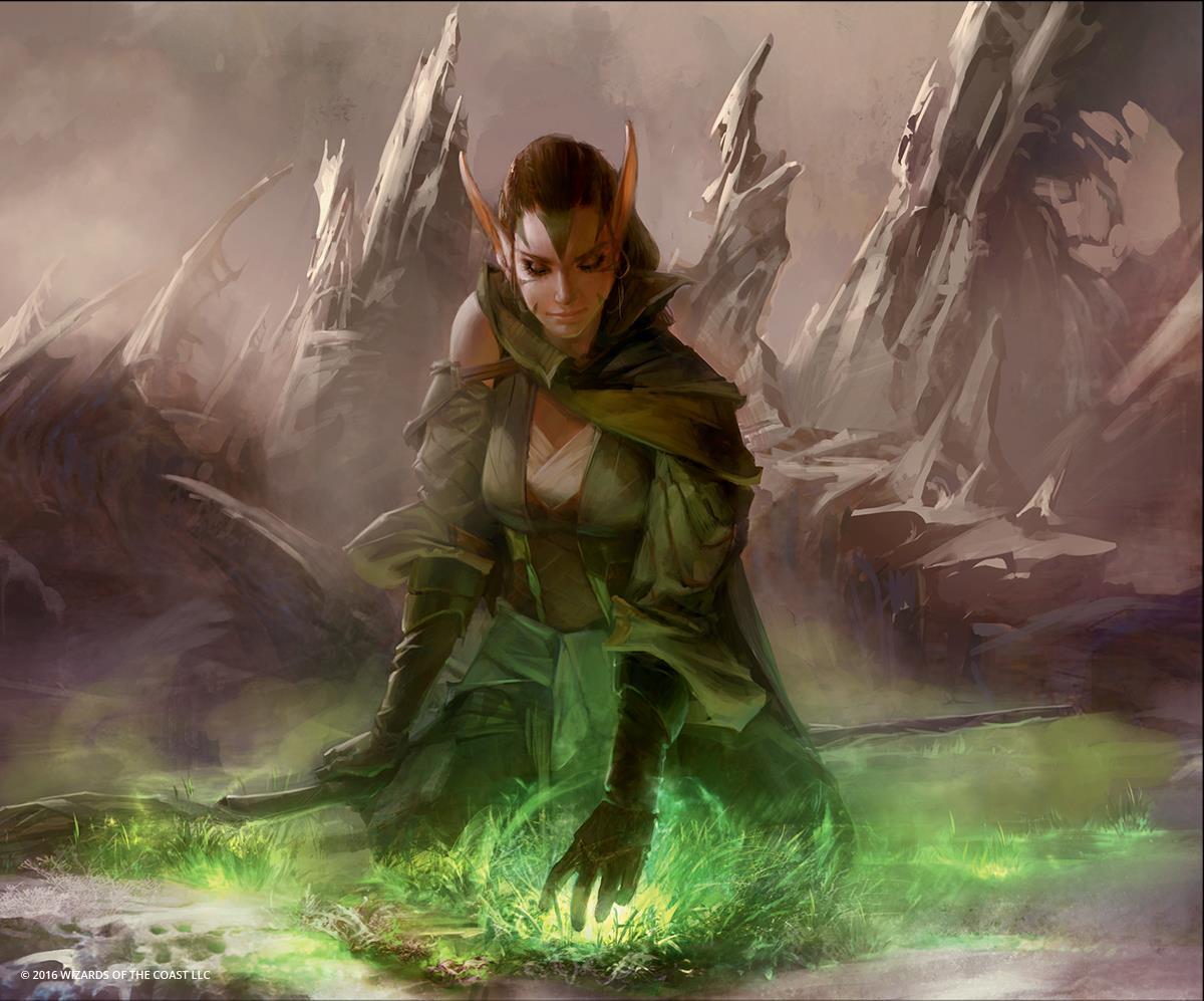 Nissa's Pilgrimage by Christine Choi | Scrolller