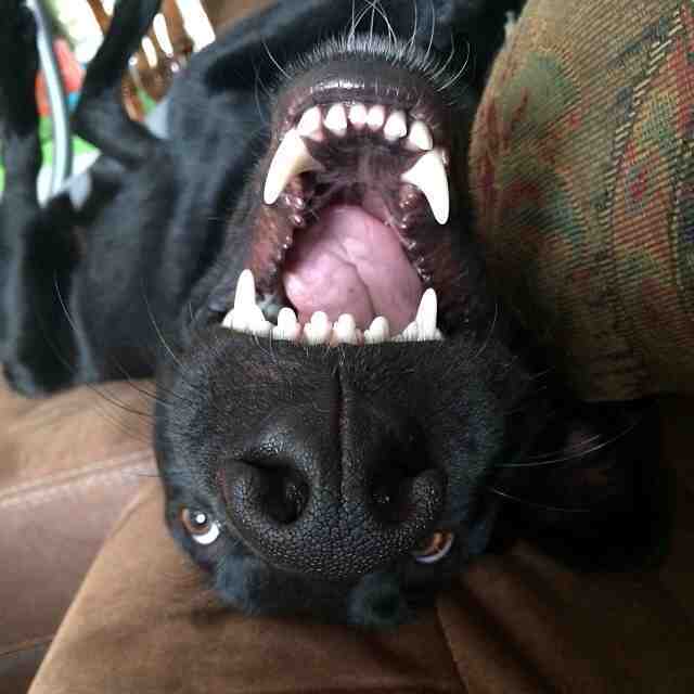 No Caption Needed | Scrolller