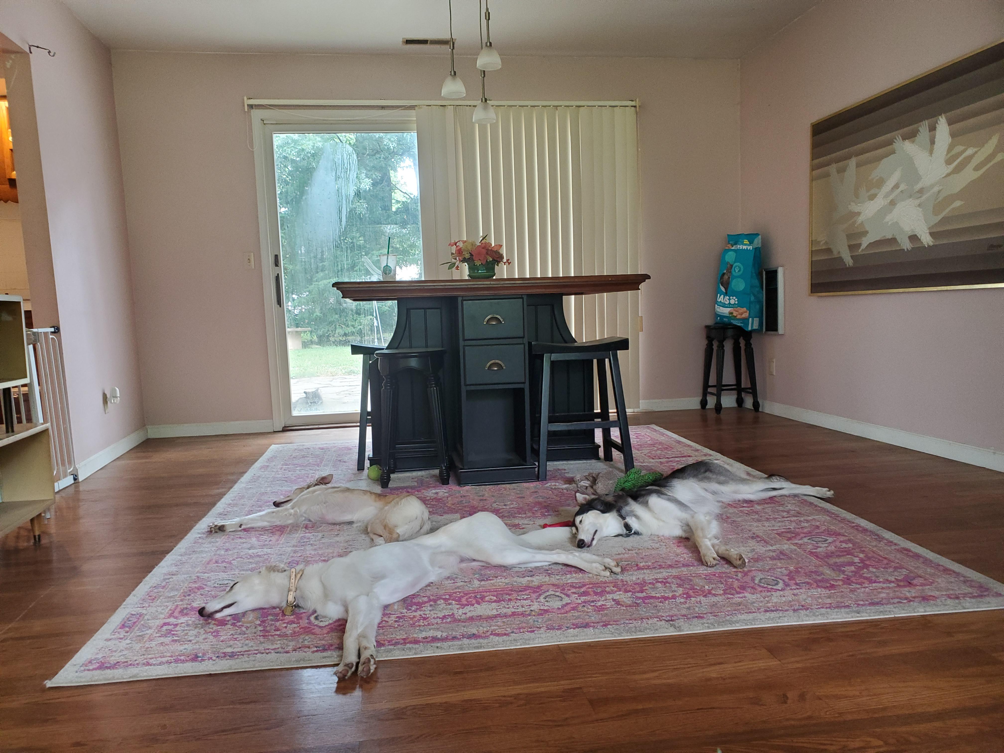 No, I assure you they're not dead. | Scrolller