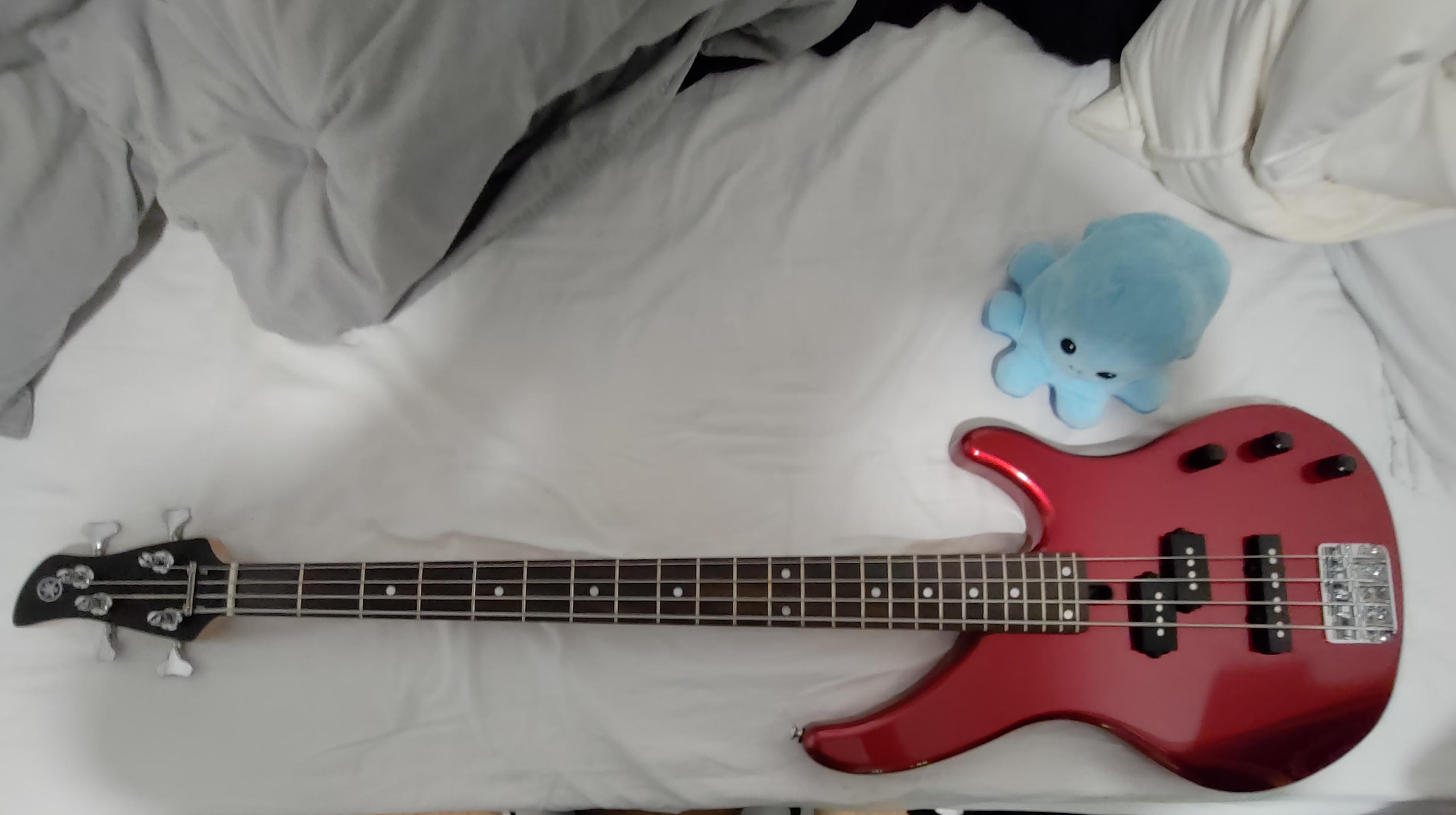 No meme just wanna show off my new bass | Scrolller