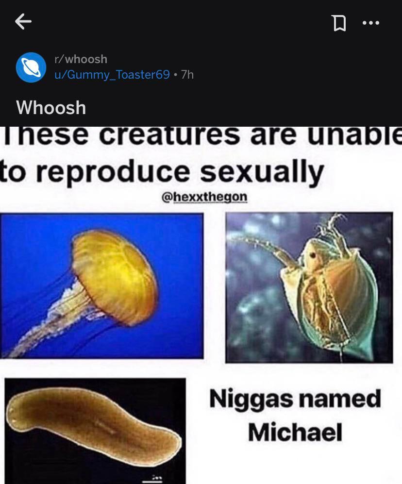 No one got whooshed, mate | Scrolller